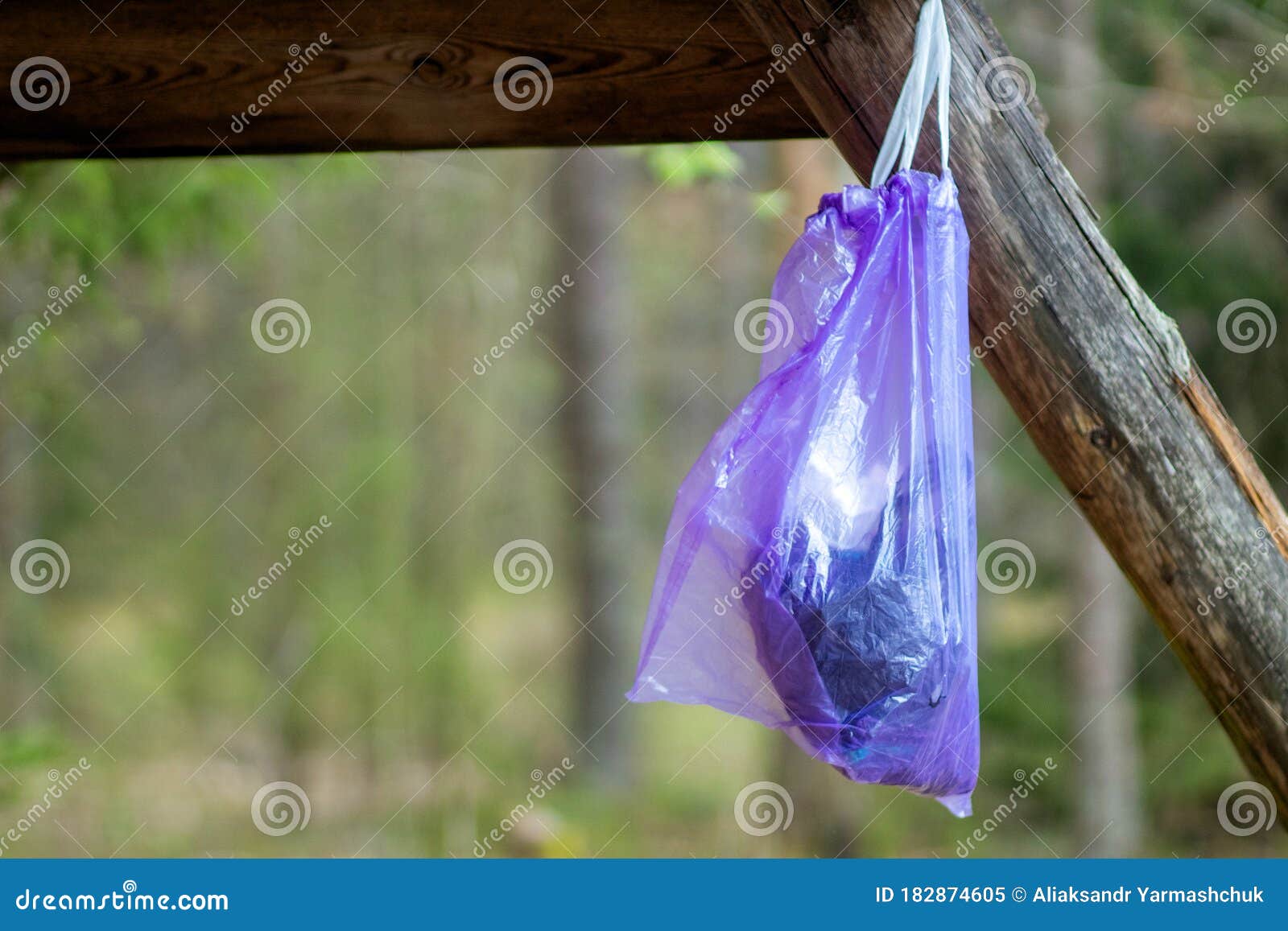 Garbage Collection for Cleaning of the Forest Stock Image - Image of ...