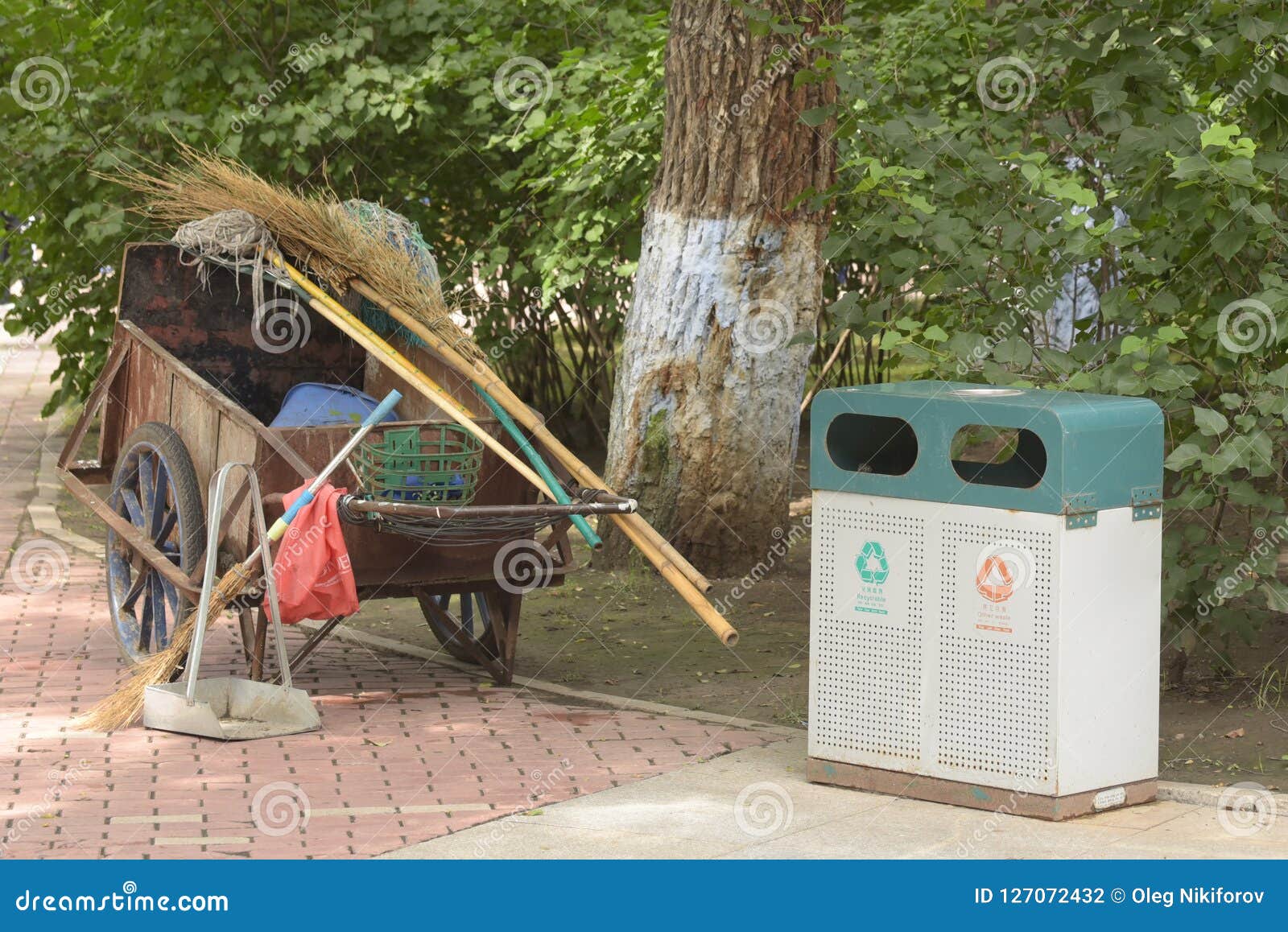 Garbage Collection in the Park Stock Photo - Image of trash, broom ...