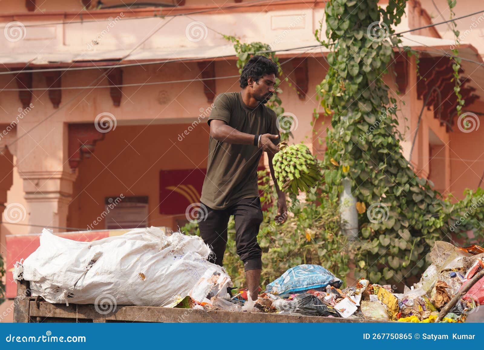 Garbage Collector Man Collect Garbage Image Editorial Image Image Of November Disposal 267750865 1150