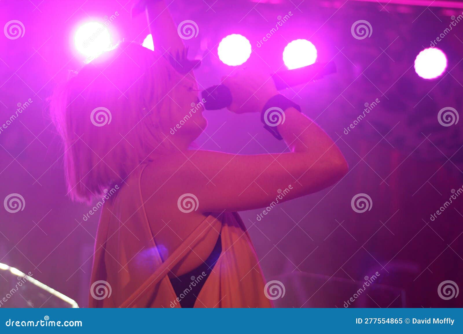 Garbage in Concert at Central Park Summerstage in New York Editorial ...