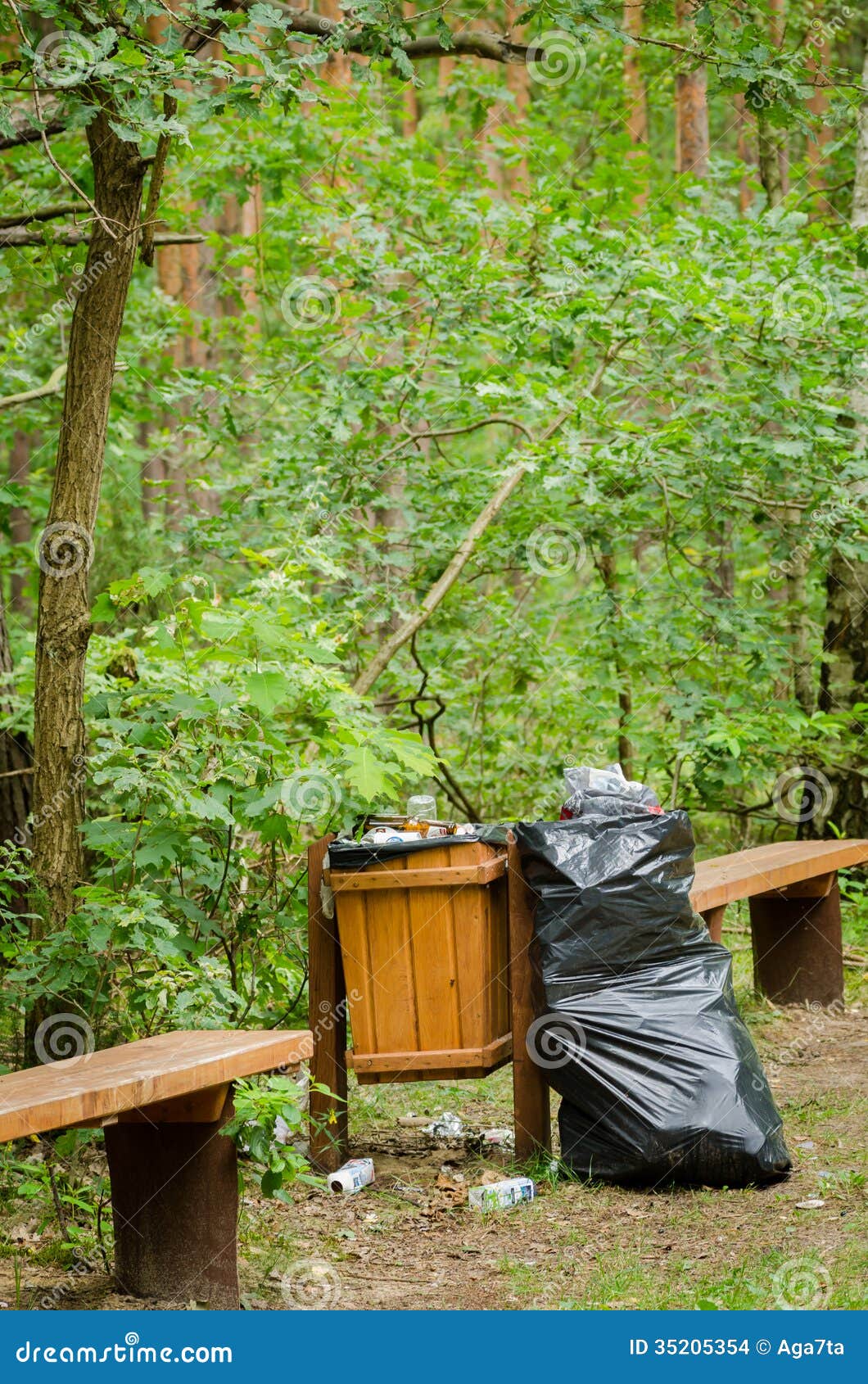 Garbage in Container in Forest Stock Photo - Image of walking, green ...
