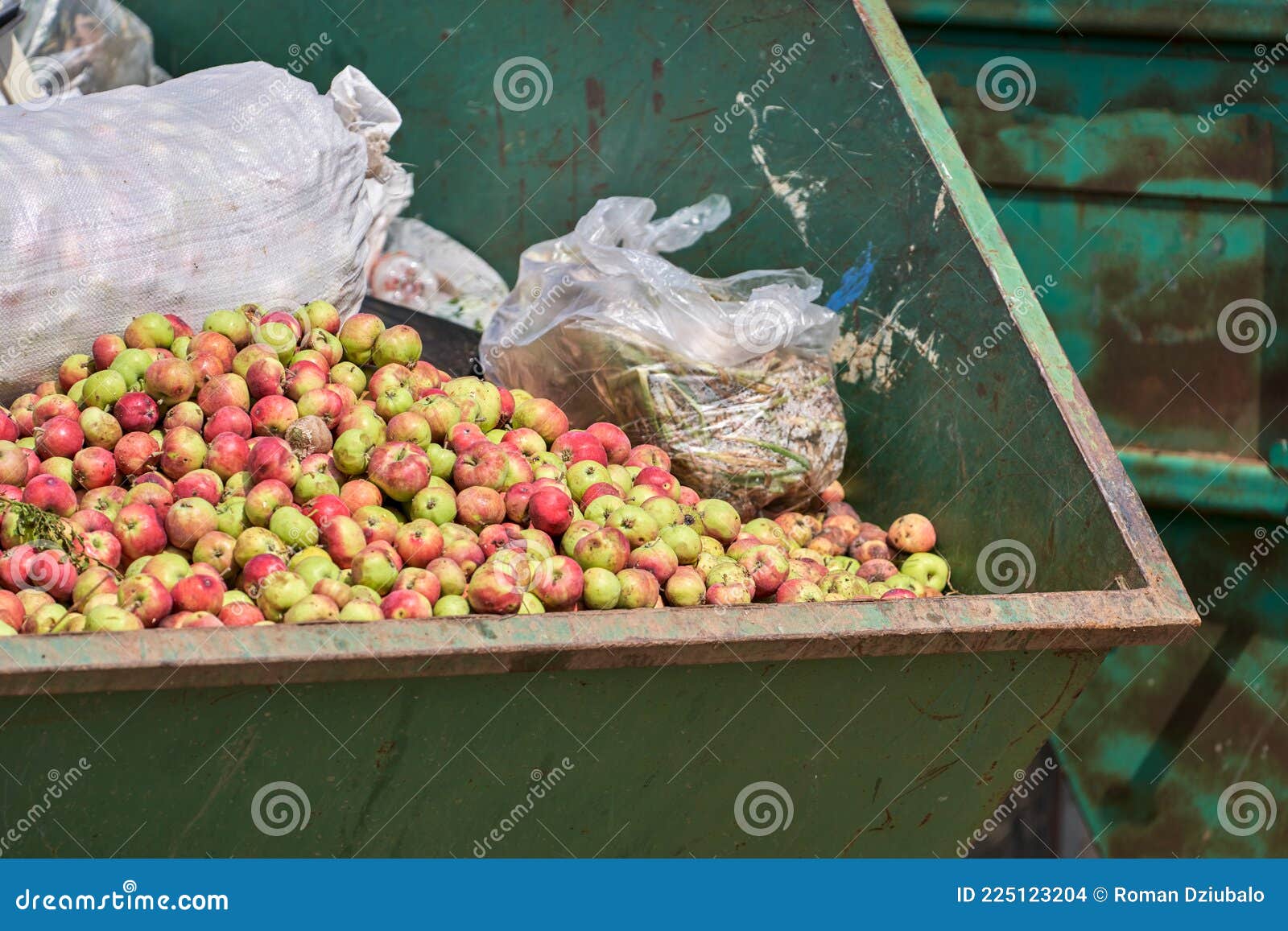 Garbage Containers with Discarded Apple Crops Stock Photo - Image of ...