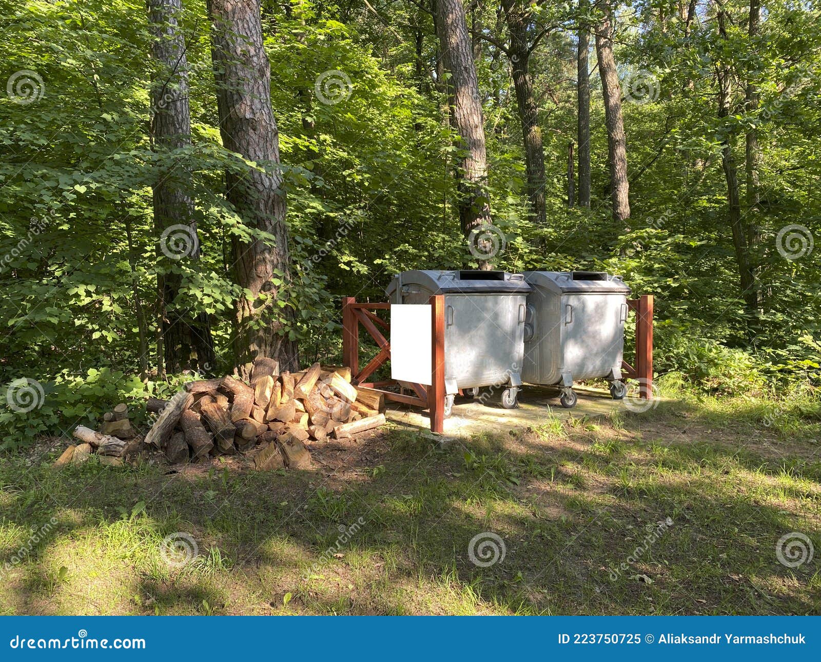 Garbage Containers are Installed in the Forest. Collecting Garbage in ...