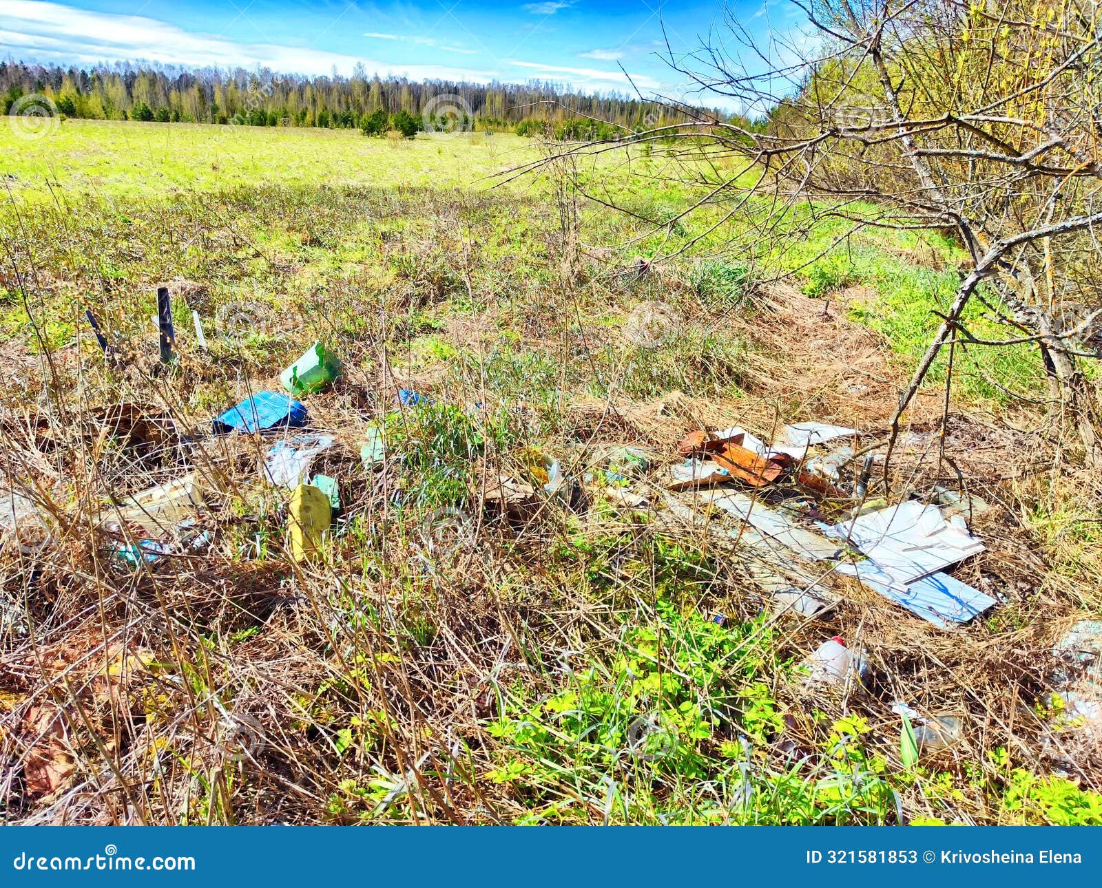 Garbage and Debris Litter the Ground of a Grassy Meadow, Highlighting ...