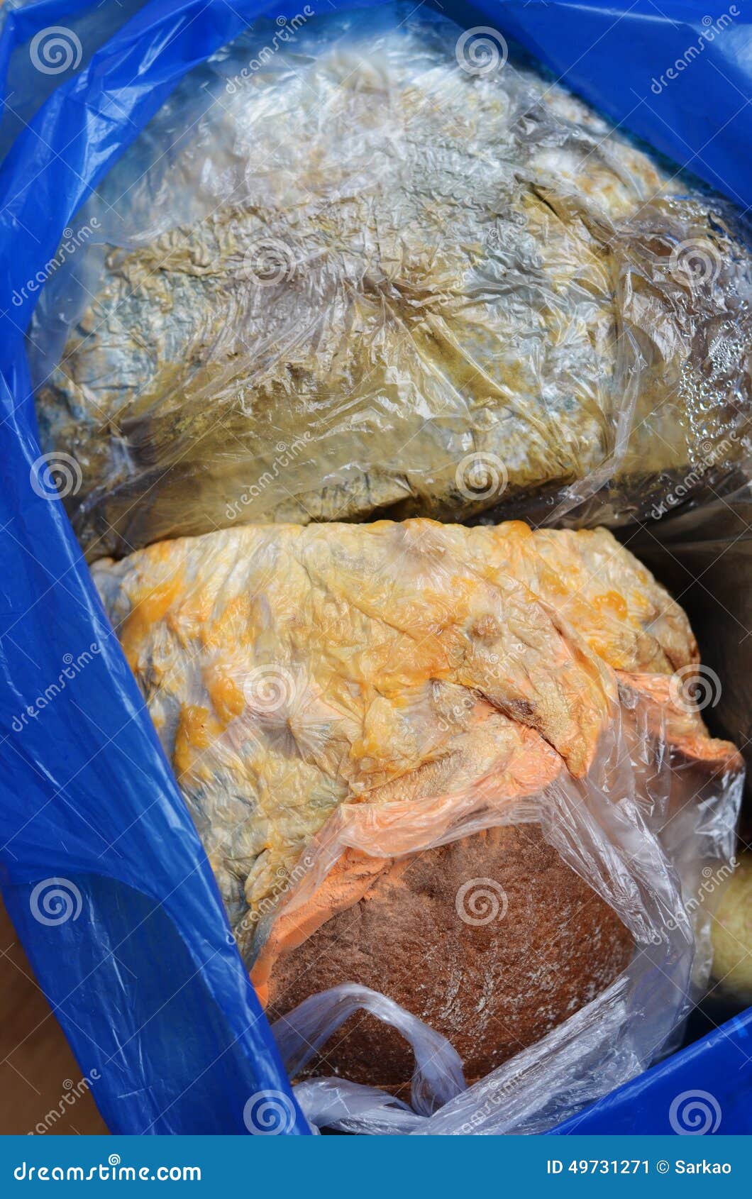 Garbage Of Moldy Food