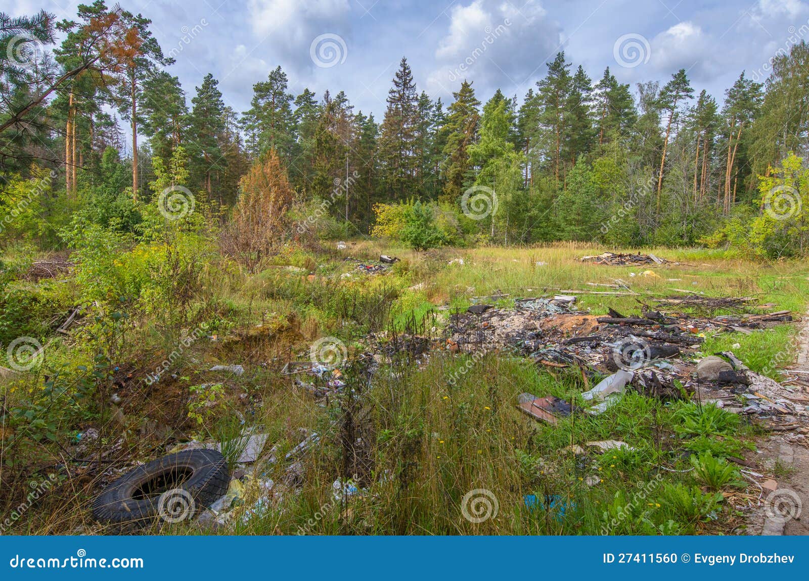 Garbage dump in forest stock photo. Image of danger, outdoors - 27411560