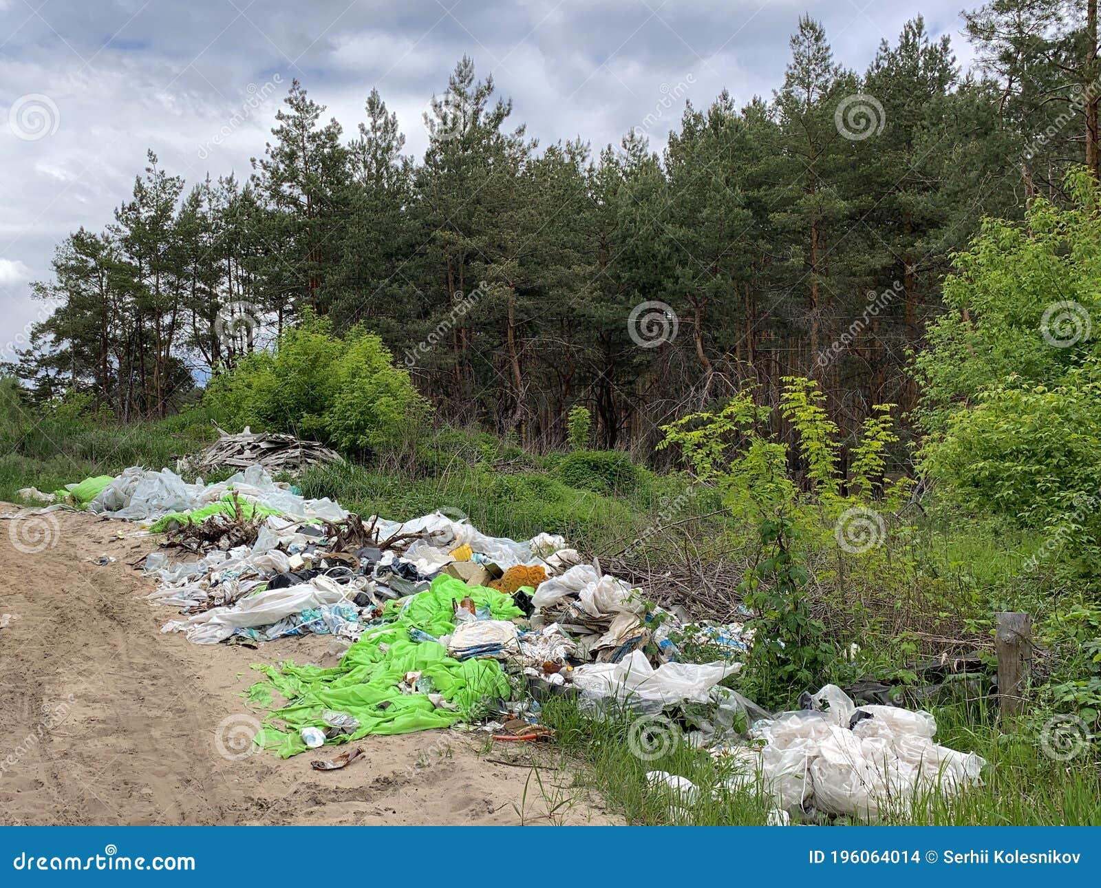 Garbage Dump in the Forest. Environmental Pollution. People Illegally ...