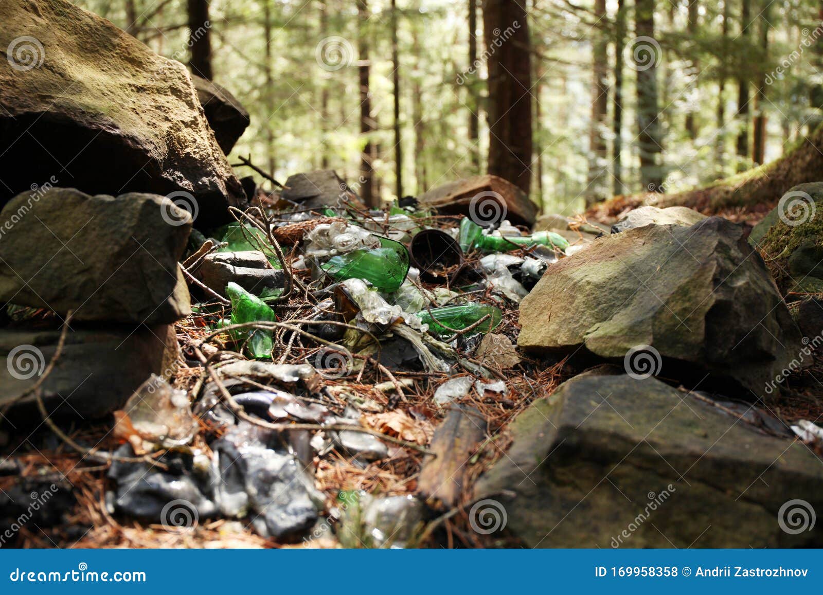Garbage Dump in Forest, Environmental Pollution by Plastic Stock Photo ...