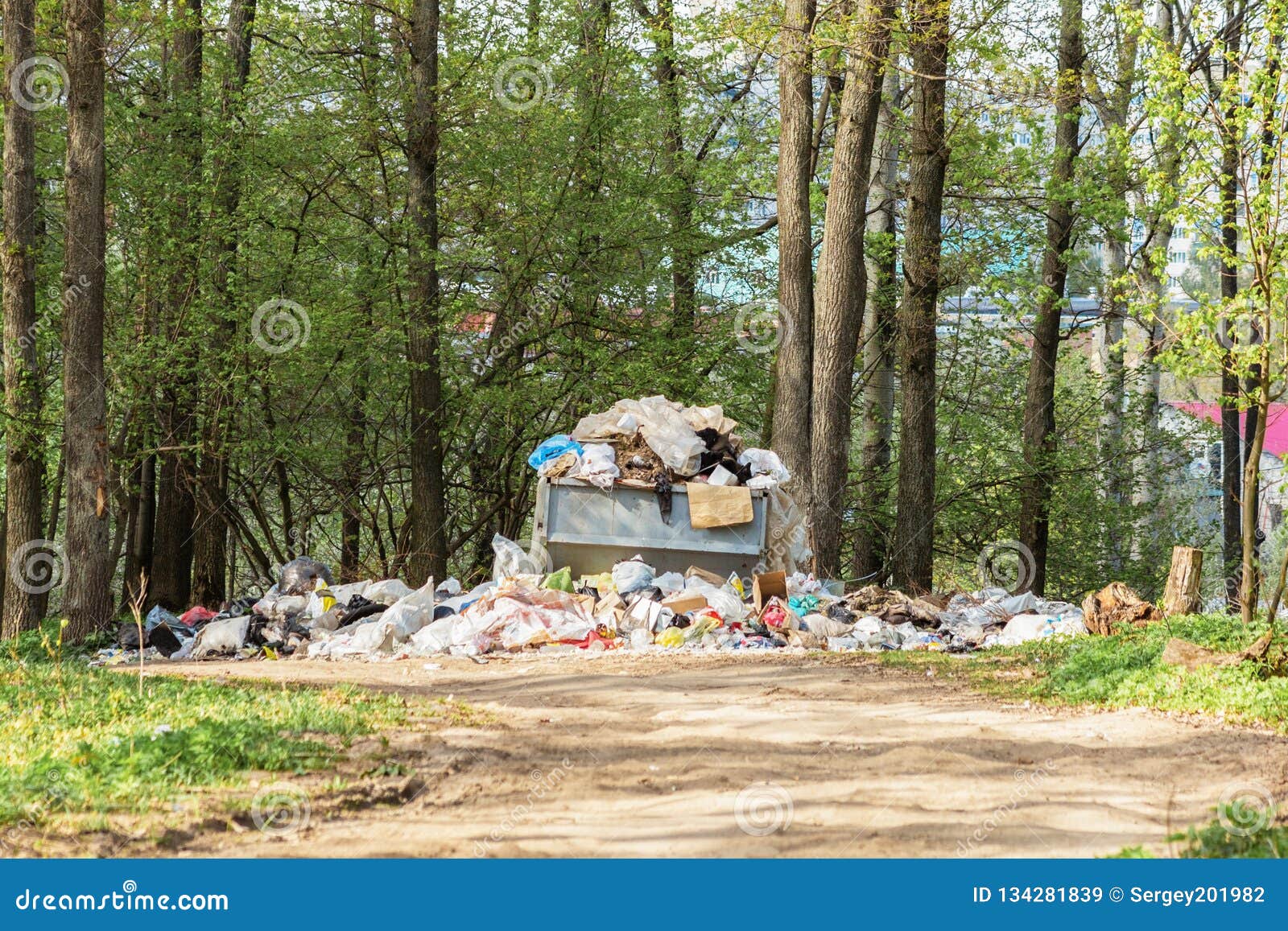 Garbage dump in the forest stock image. Image of forest - 134281839