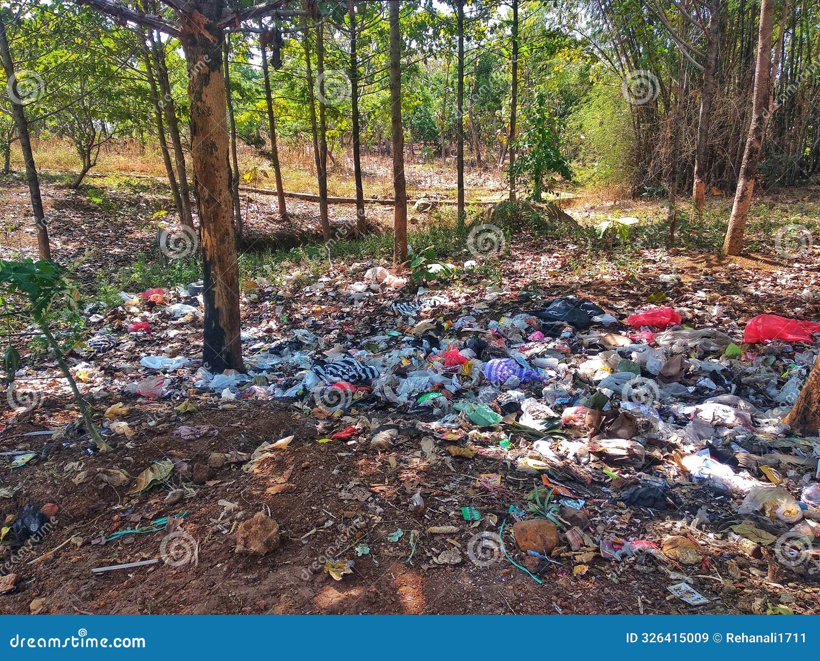 Forest Pollution Royalty-Free Stock Photography | CartoonDealer.com ...