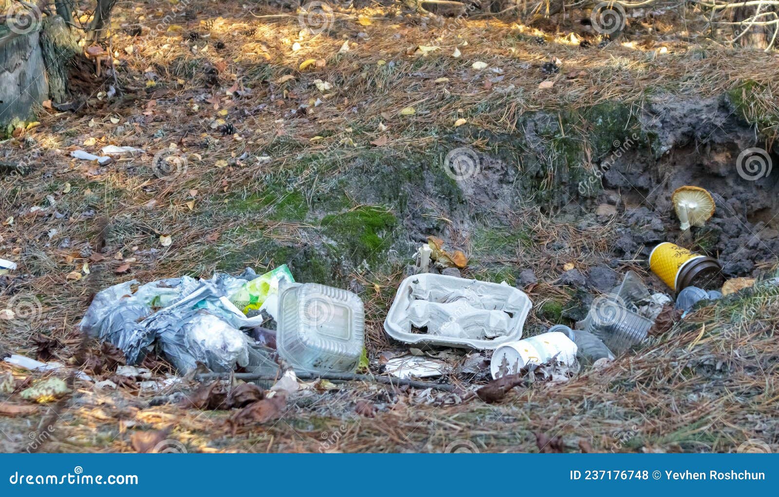 Garbage Dump in the Forest, Pollution of Nature. People Illegally Threw ...