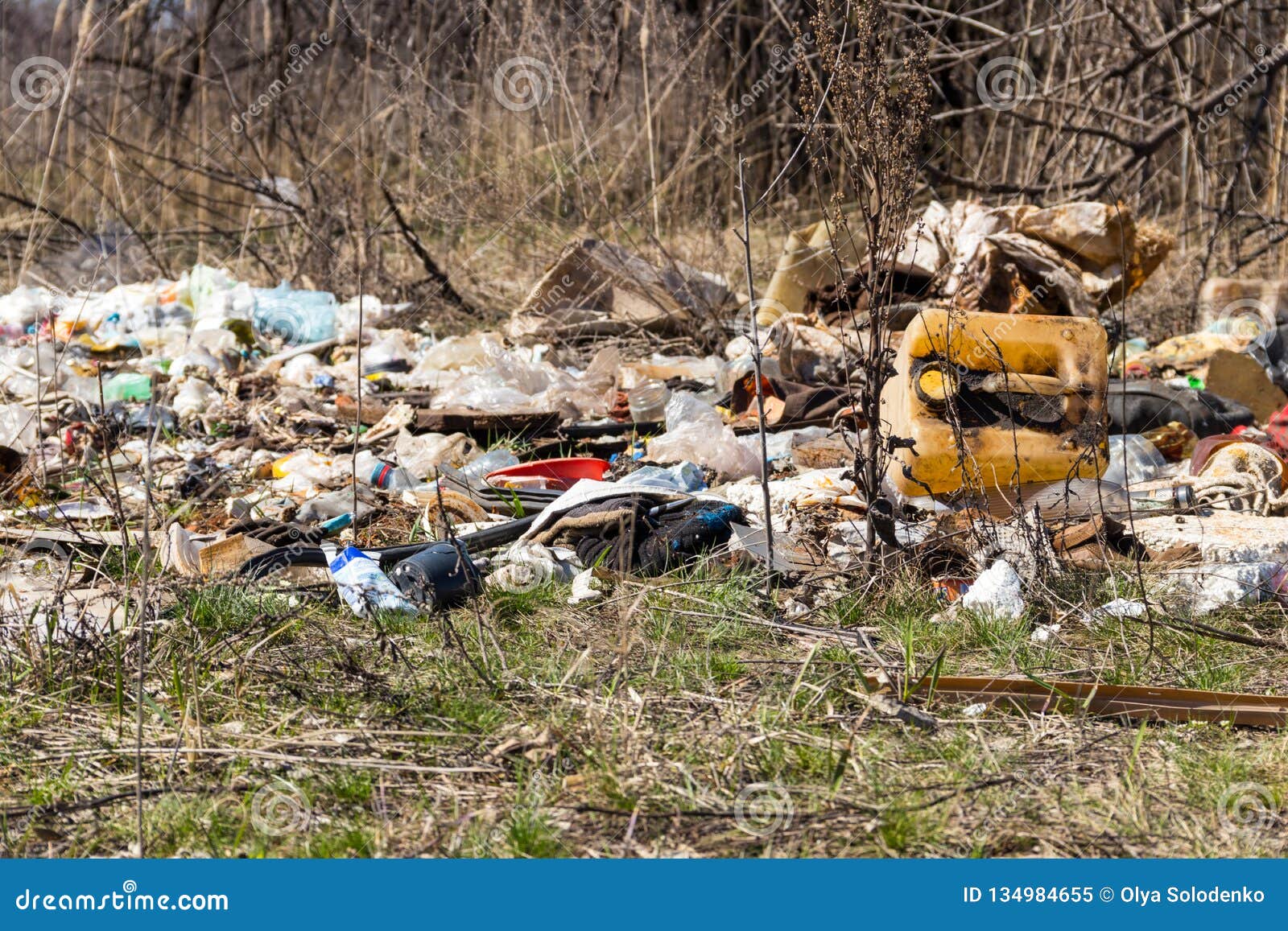 Garbage Dump in Forest Under Trees Stock Image - Image of ecology ...