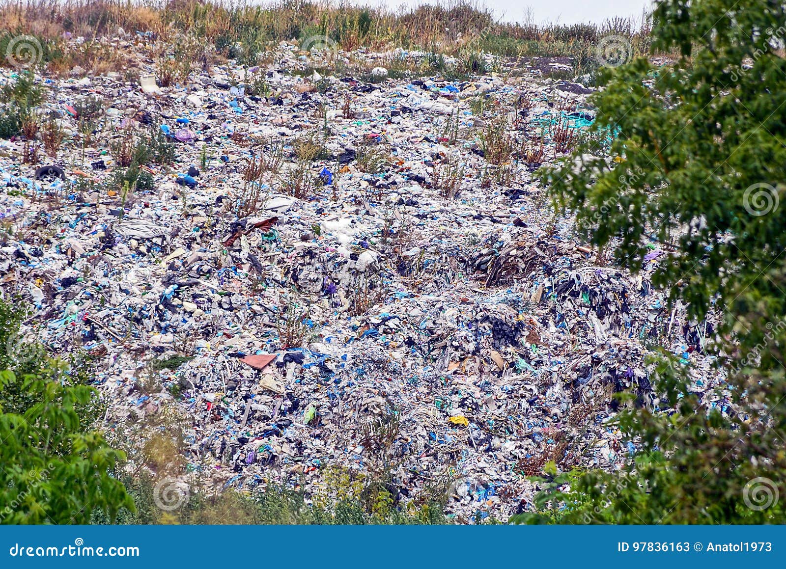 Garbage Dump among Grass and Vegetation in the Field Stock Image ...