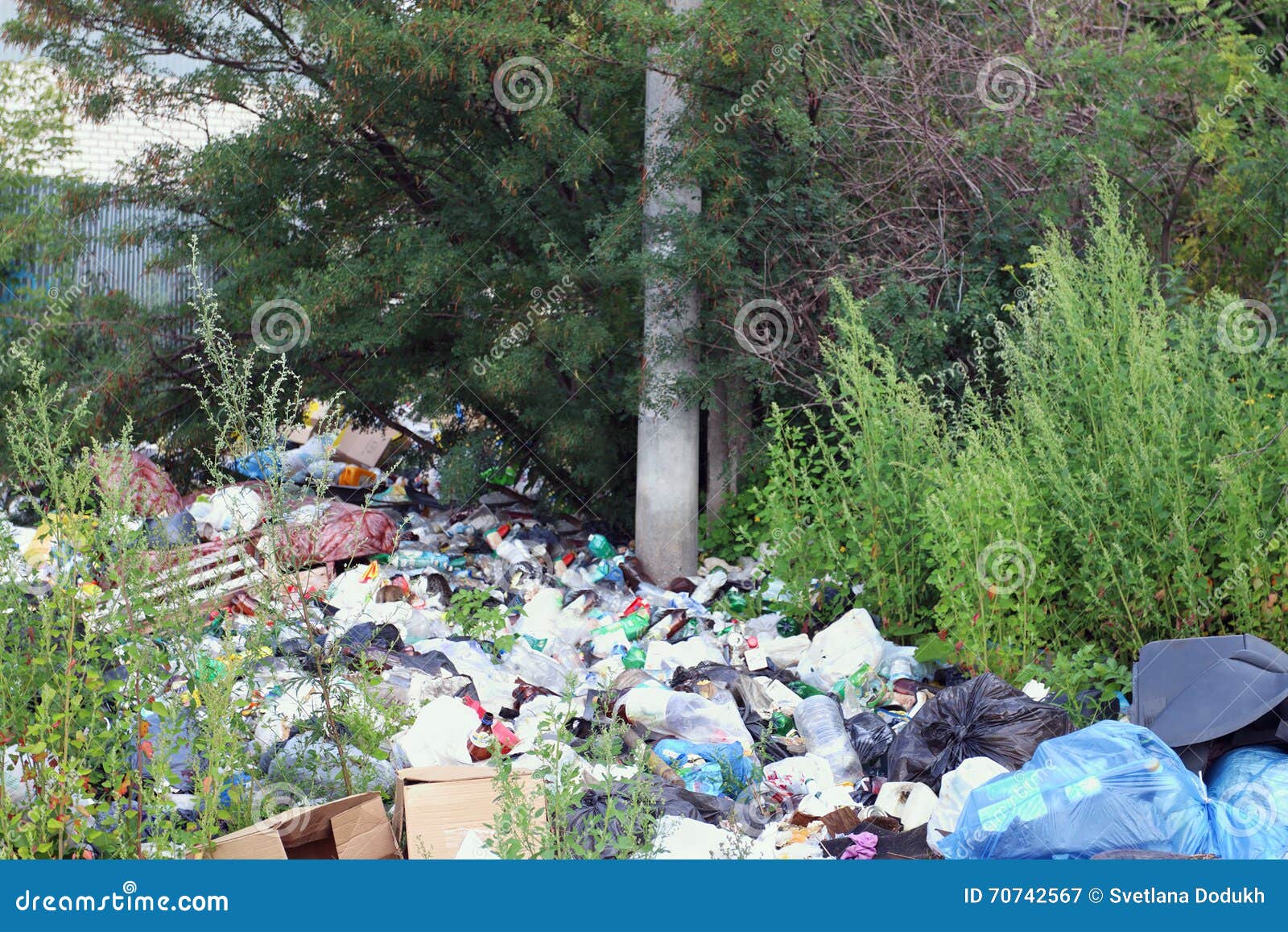 Garbage Dump among Green Trees Stock Image - Image of nature, broken ... Garbage Dump among Green Trees Stock Image - Image of nature, broken ...