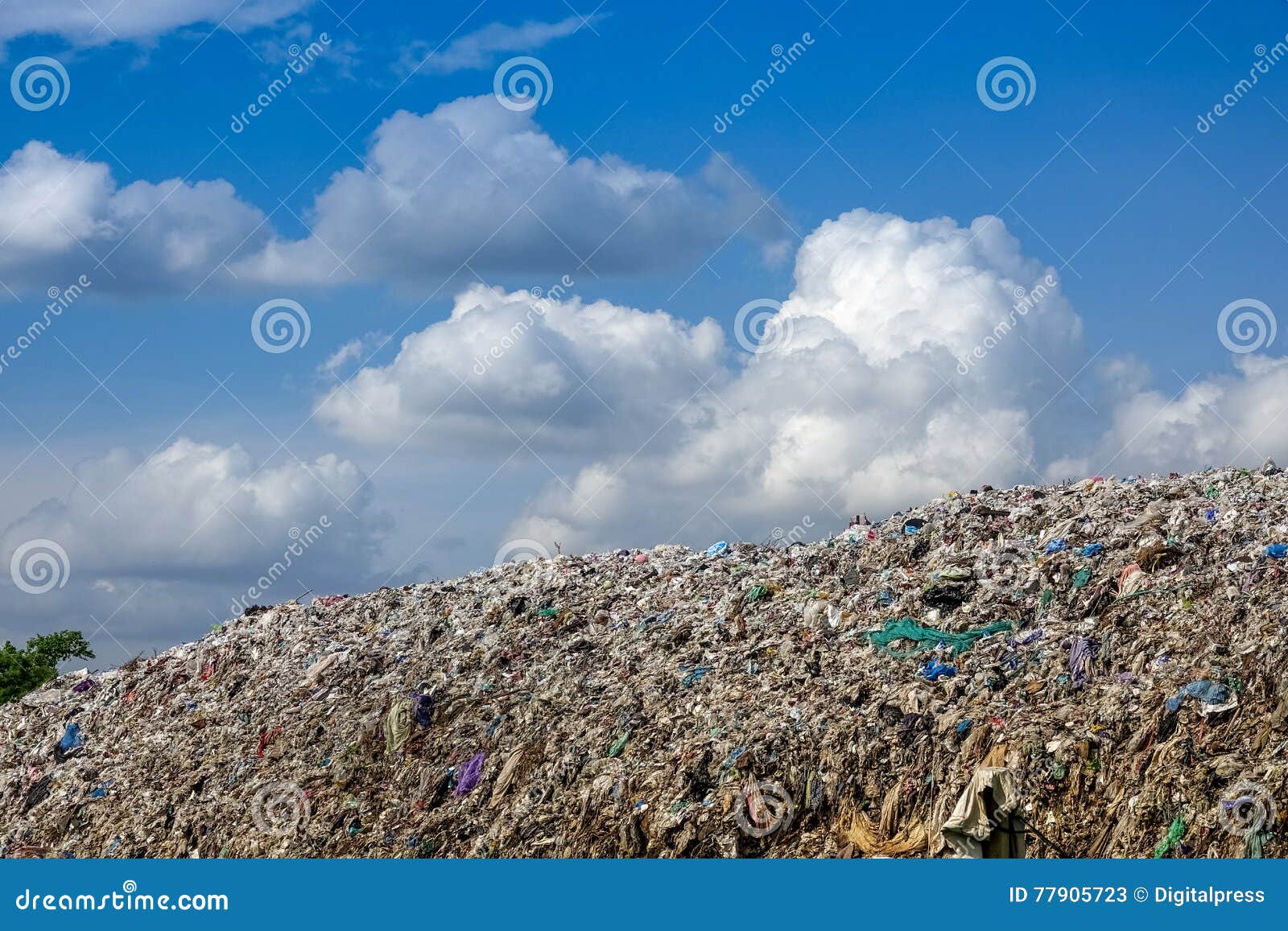 Landscape With Trash Stock Image | CartoonDealer.com #92678071