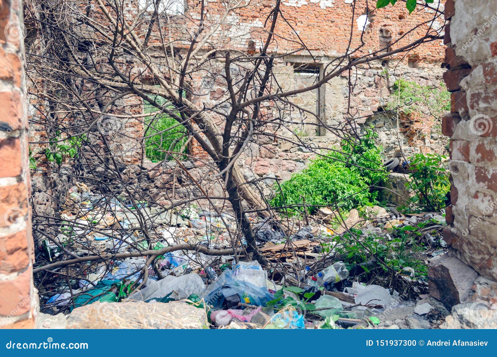 Garbage Dump in the Old Destroyed Building, Environmental Protection ...