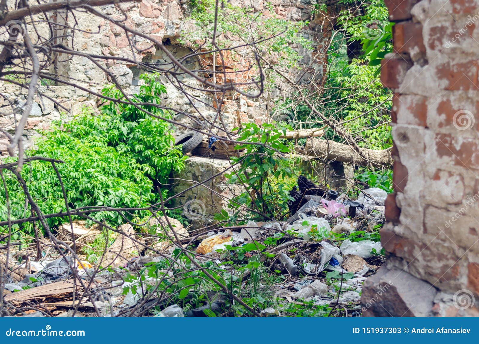 Garbage Dump in the Old Destroyed Building, Environmental Protection ...