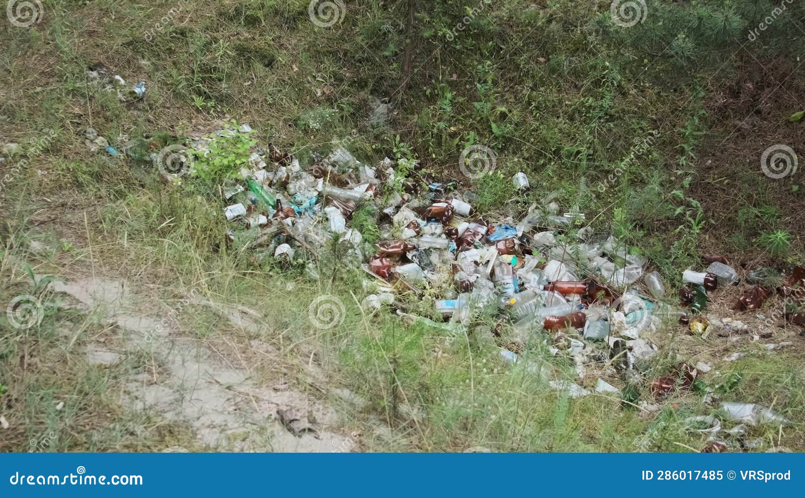 Garbage Dump of Plastic and Bottles in the Forest Stock Video - Video ...