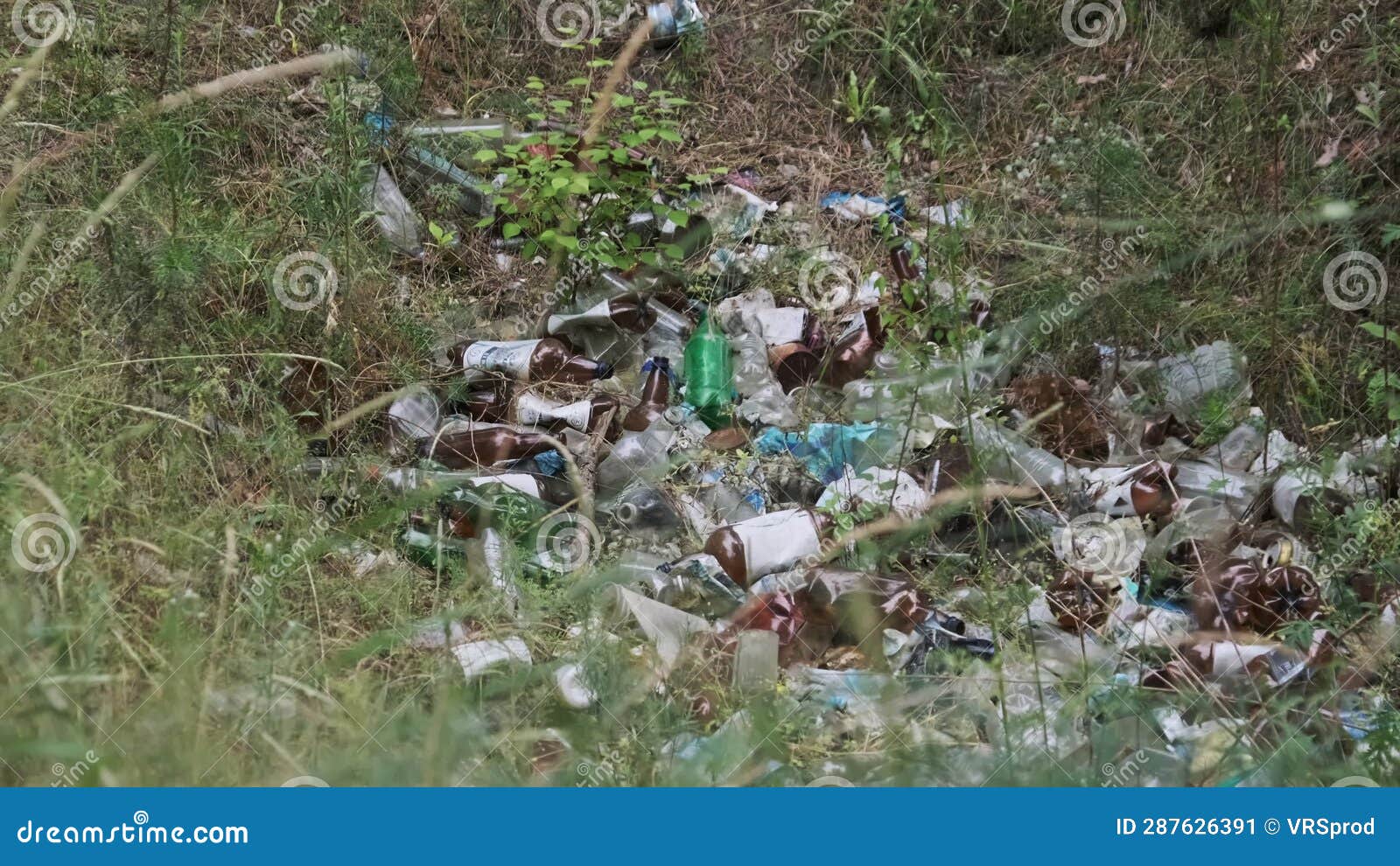Garbage Dump of Plastic and Bottles in the Forest Stock Video - Video ...