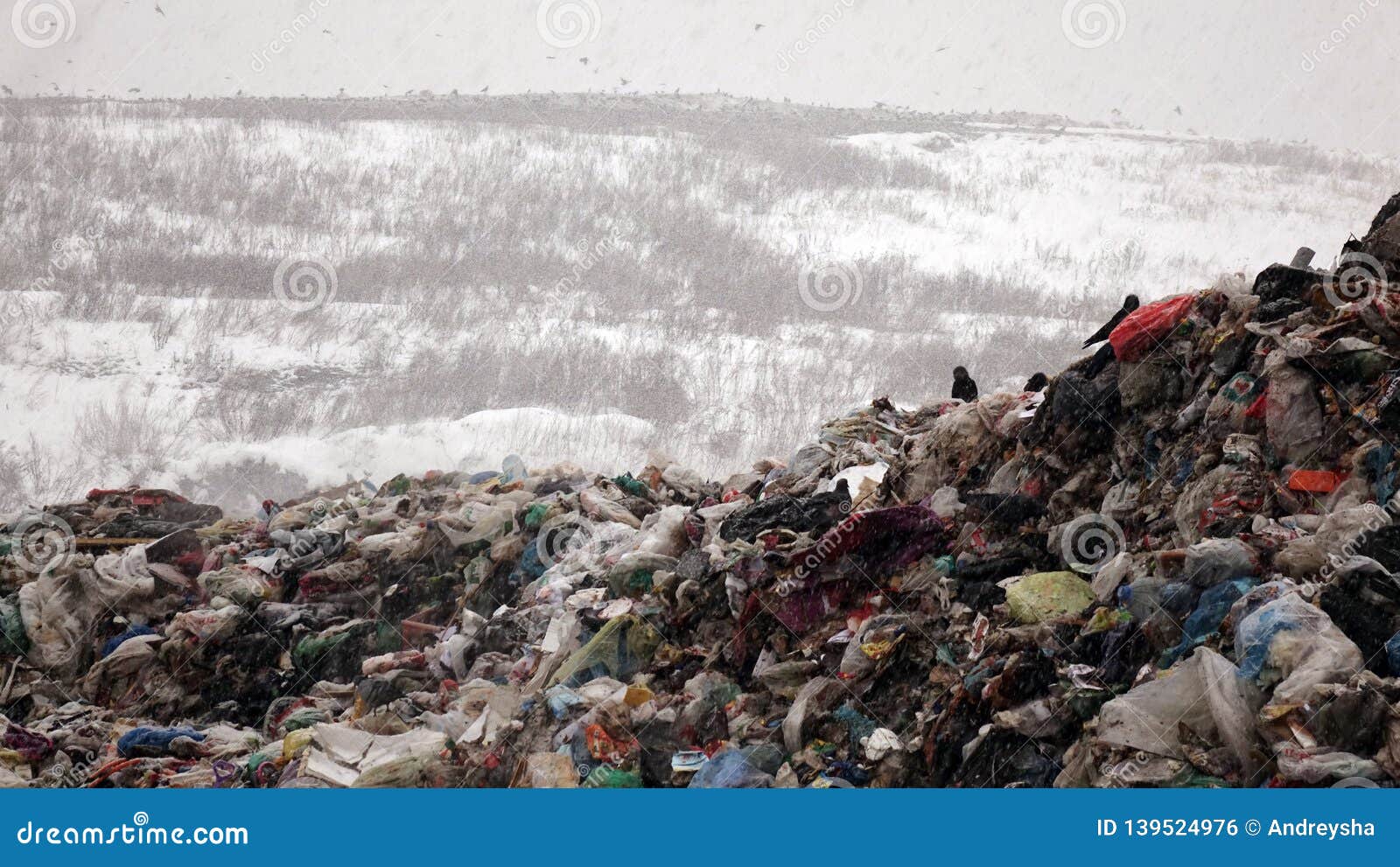 Garbage Dump. Storage of Waste for Further Disposal. Environmental ...