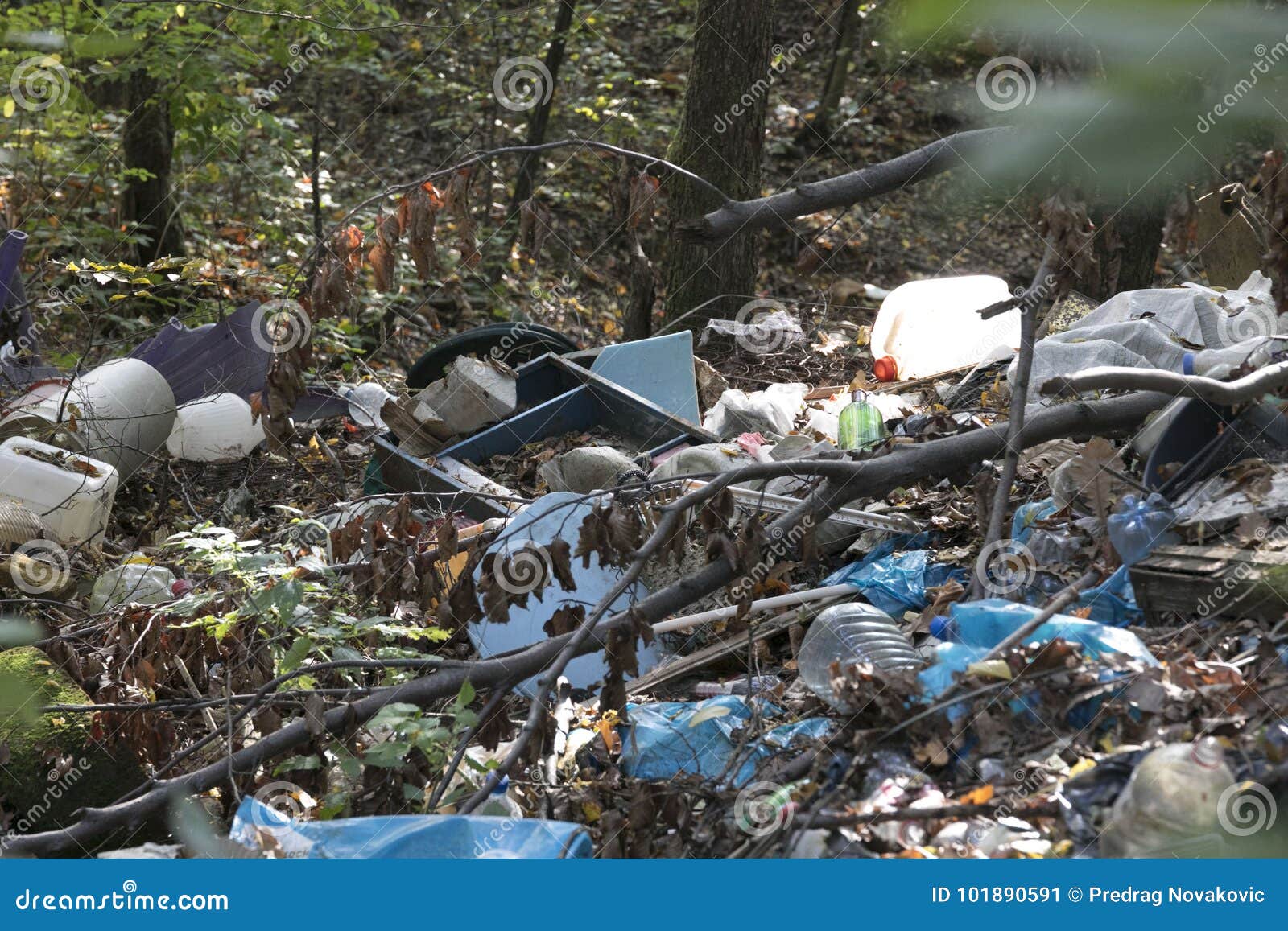 Wild dumps in the forest stock image. Image of picnic - 101890591