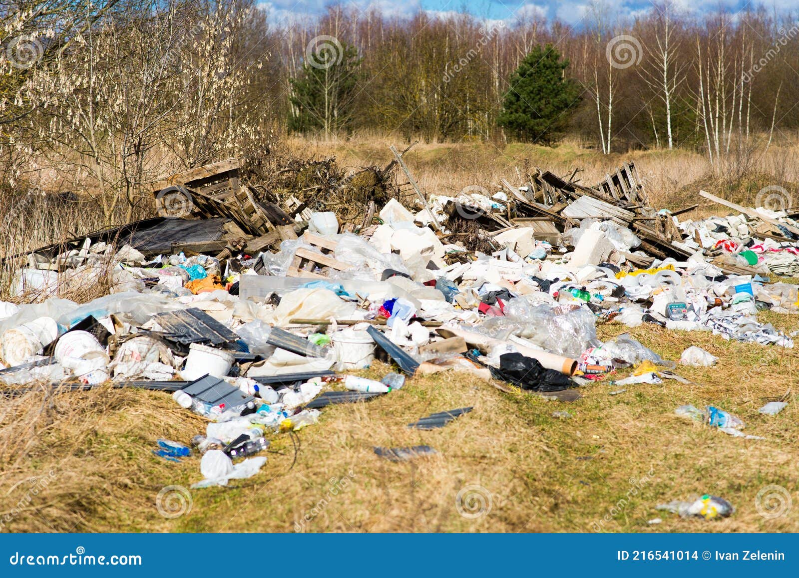 Garbage Dump in the Woods, Forest. Ecological Problems Editorial Stock ...