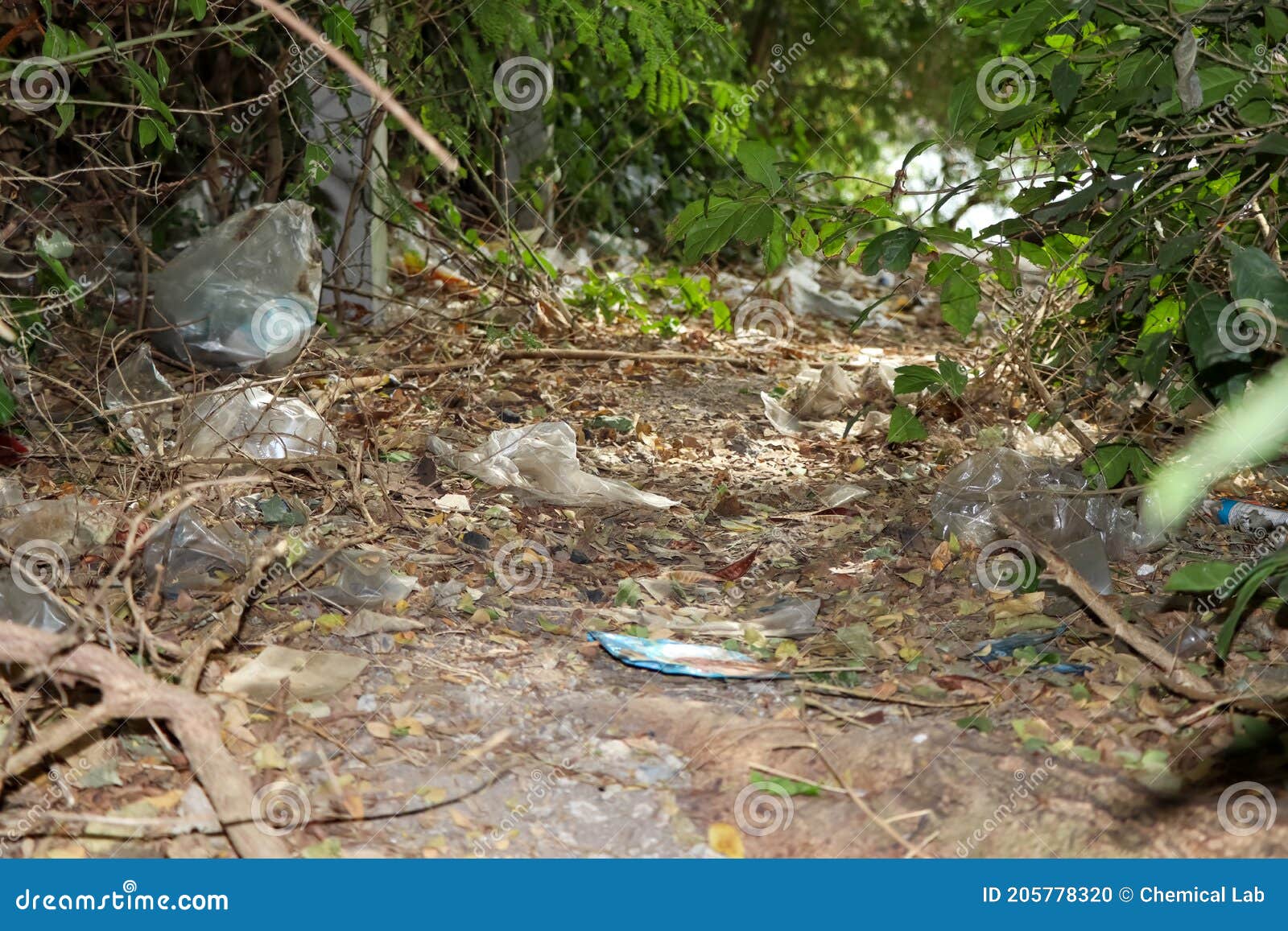 Garbage Dumped in the Forest Stock Photo - Image of dumping, ecology ...