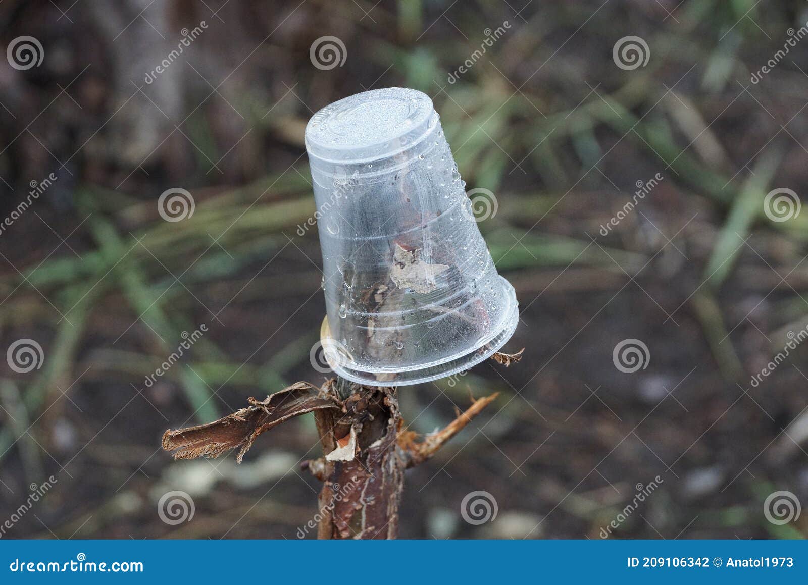 Garbage from an Empty White Plastic Glass Stock Photo - Image of ...