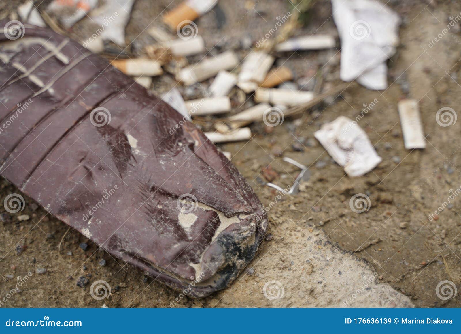 Garbage is Everywhere. Environmental Pollution. Problem of Worldwide ...