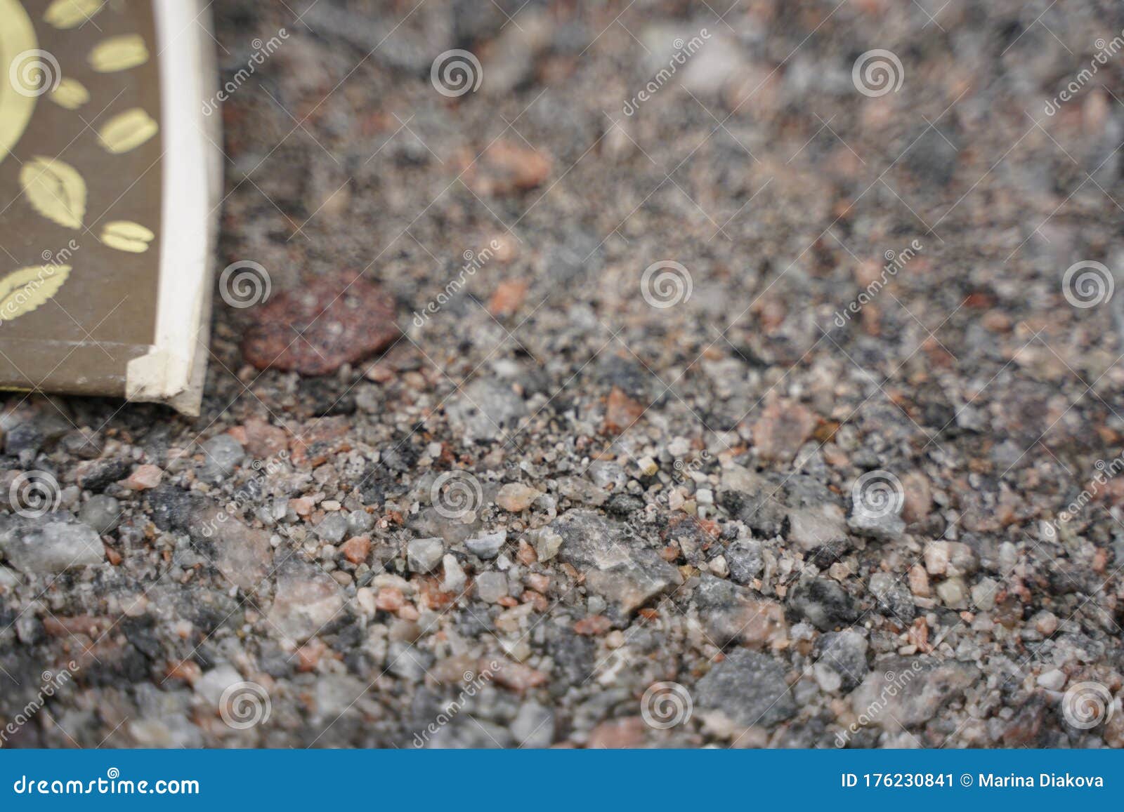 Garbage is Everywhere. Environmental Pollution. Problem of Worldwide ...