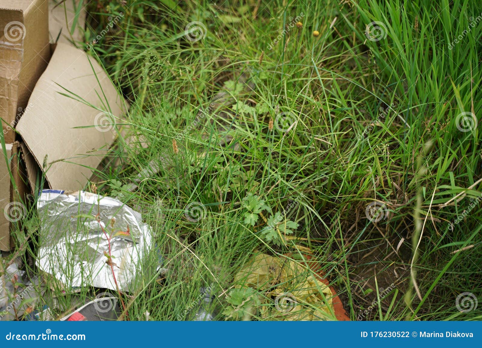 Garbage is Everywhere. Environmental Pollution. Problem of Worldwide ...