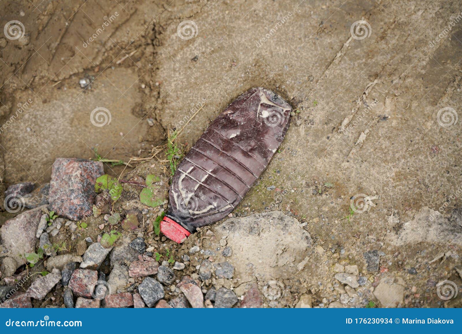 Garbage is Everywhere. Environmental Pollution. Problem of Worldwide ...