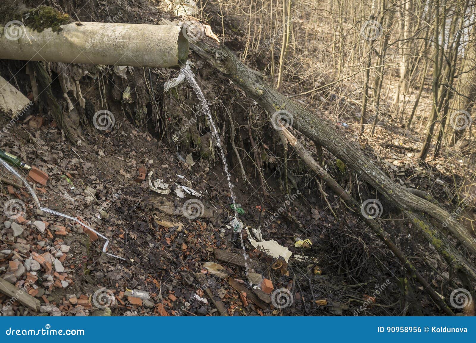 Garbage and Fallen Trees Next To the Sewer Pipe Stock Photo - Image of ...