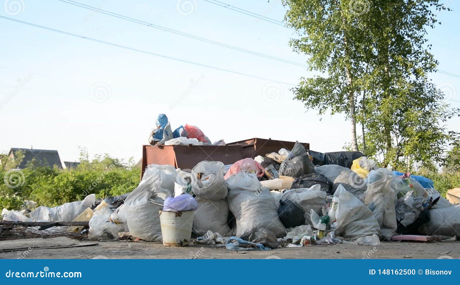 Garbage Falls on the Ground in the Forest. the Problem of Environmental ...