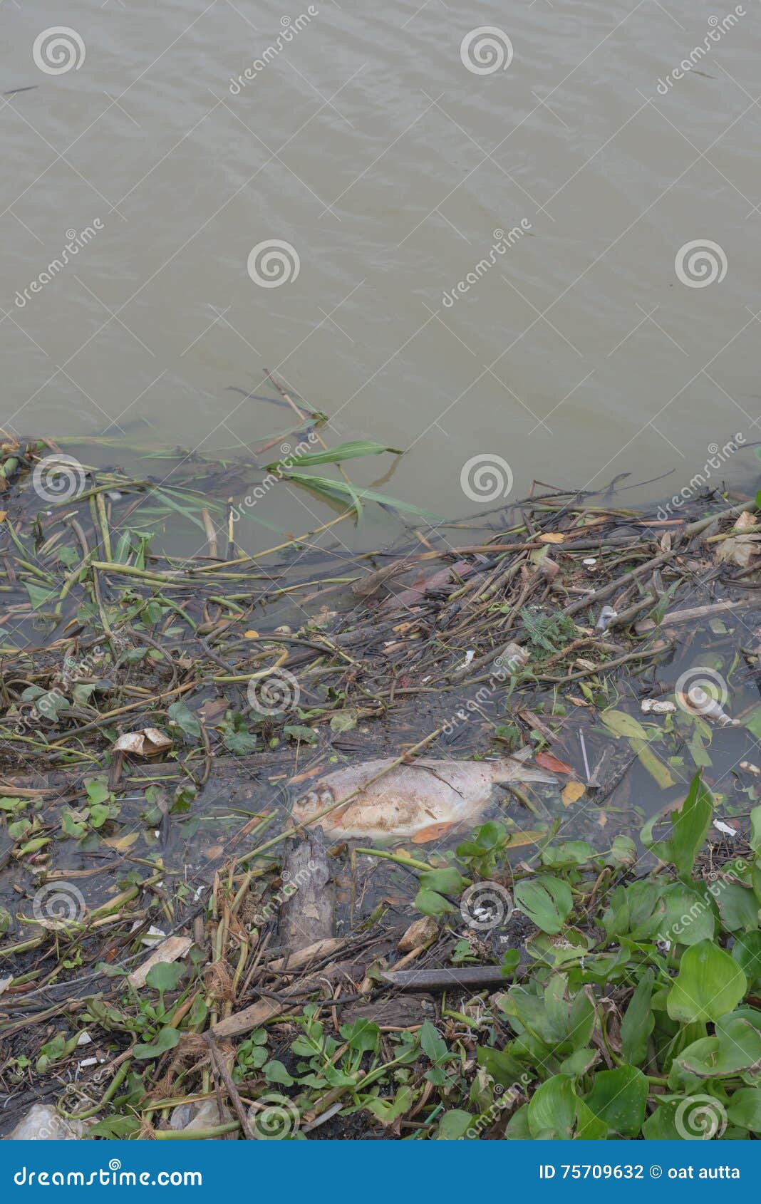Garbage Floating in River, Water Pollution. Ecological Problem ...