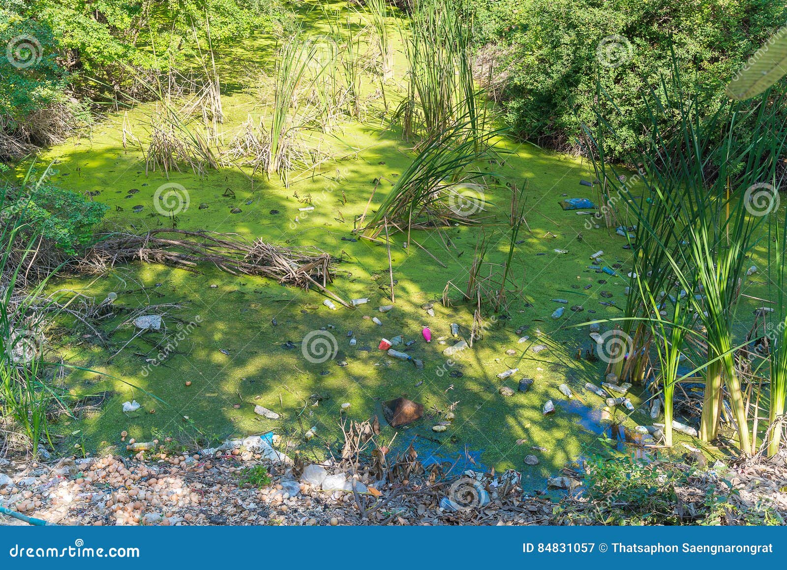 Garbage Floating in the Water, a Large Amount of Trash Polluting Stock ...