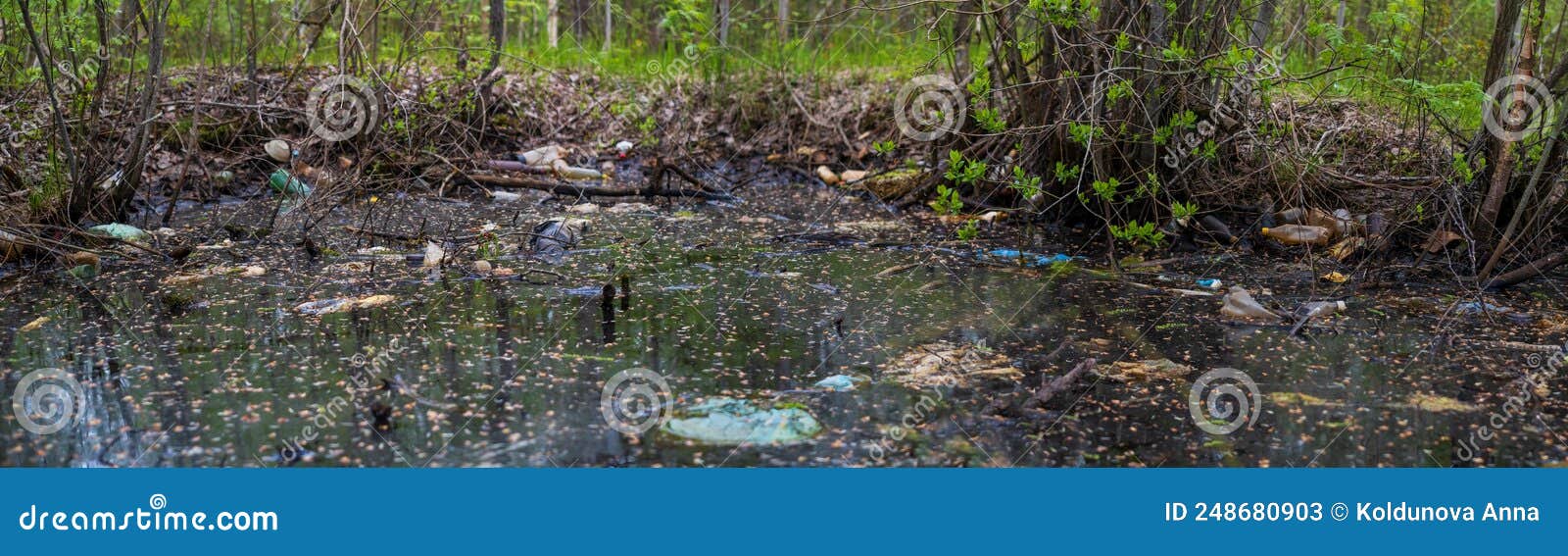 Garbage Floats on Surface of Water in Pond. Stock Image - Image of ...