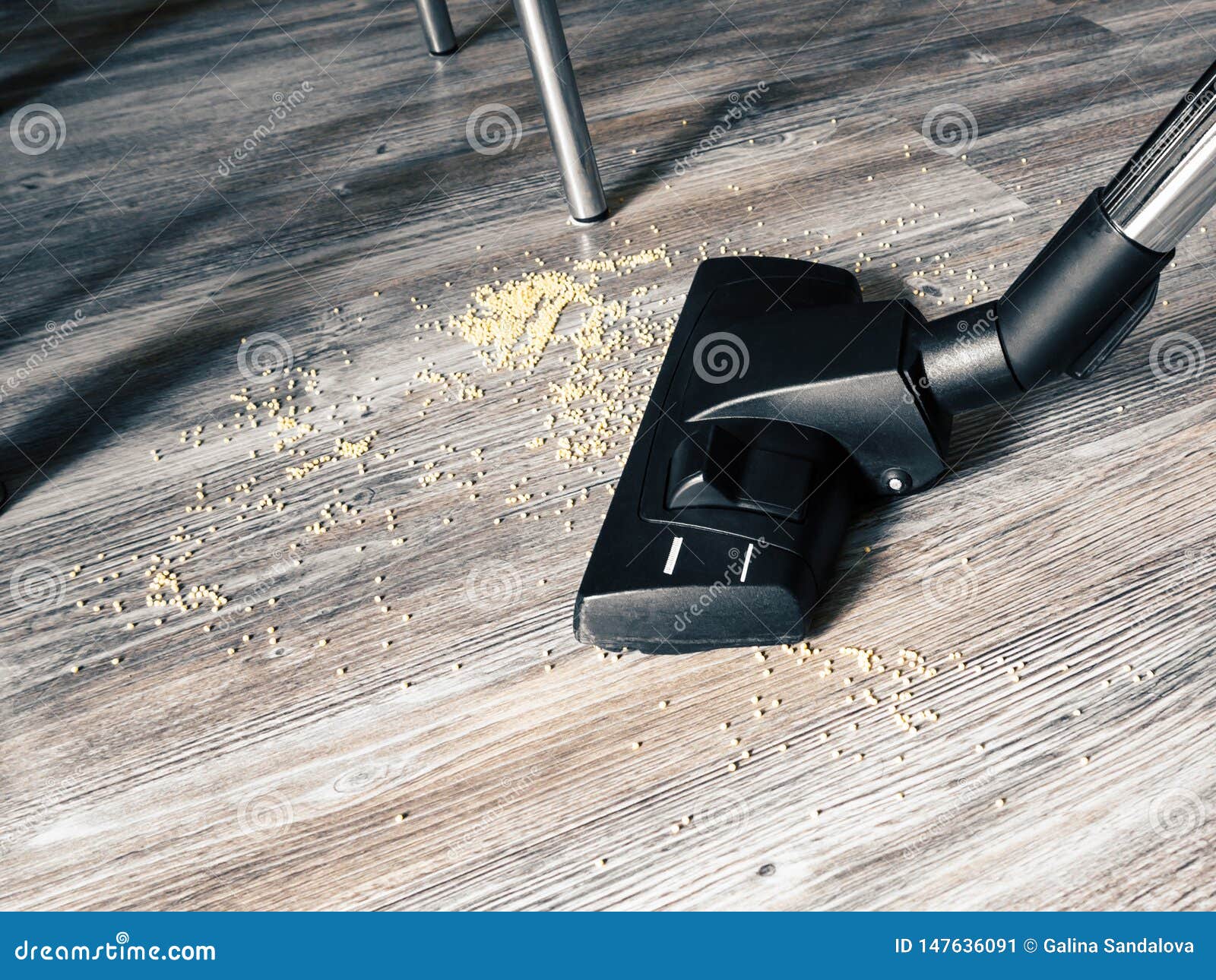 Garbage on the Floor is Cleaned with a Vacuum Cleaner. in the Frame, a ...