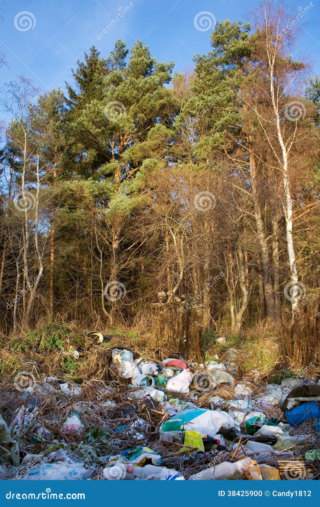 Garbage in the forest stock photo. Image of ecology, harm - 38425900