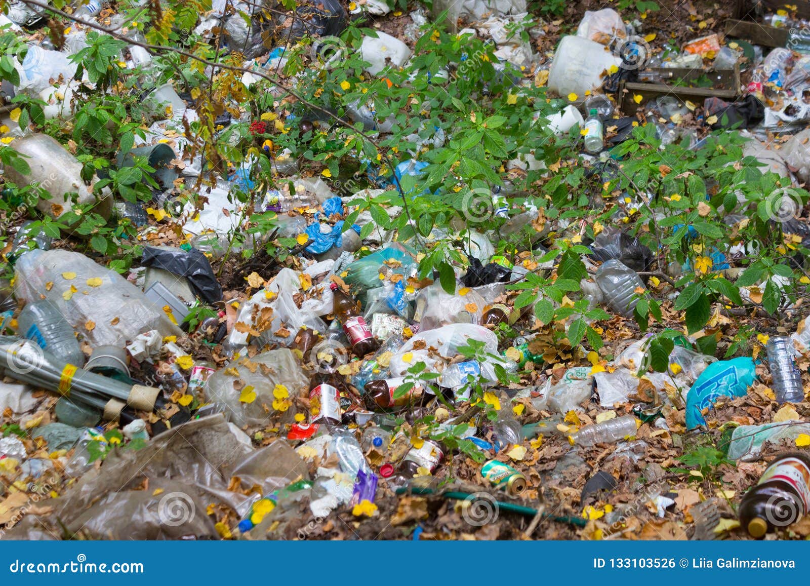 Garbage in the forest editorial photo. Image of junk - 133103526