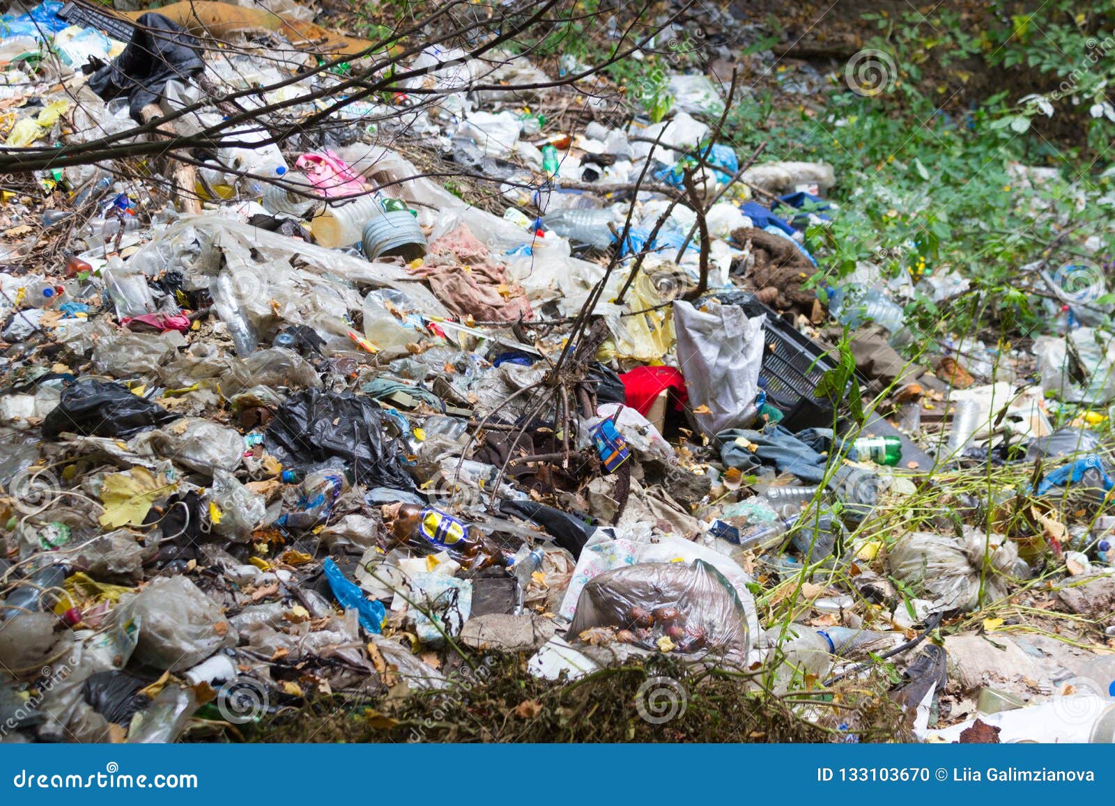 Garbage in the forest editorial image. Image of green - 133103670