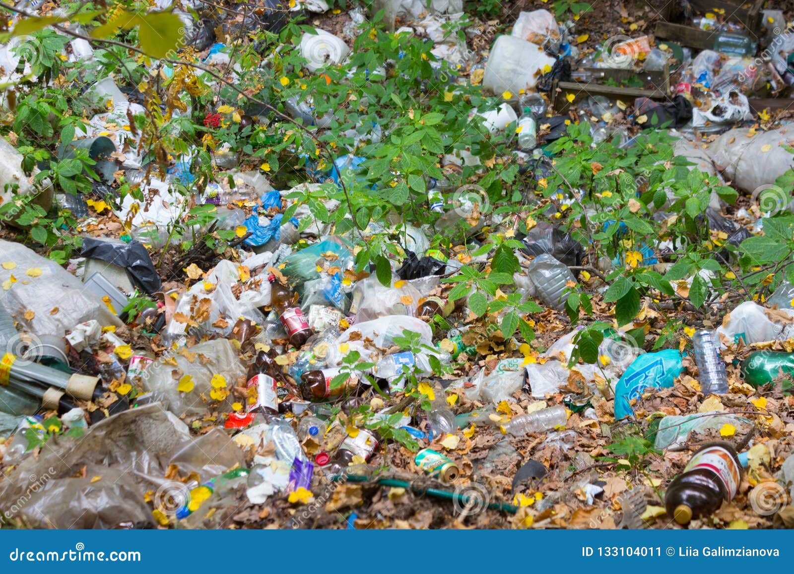 Garbage in the forest editorial photo. Image of environment - 133104011