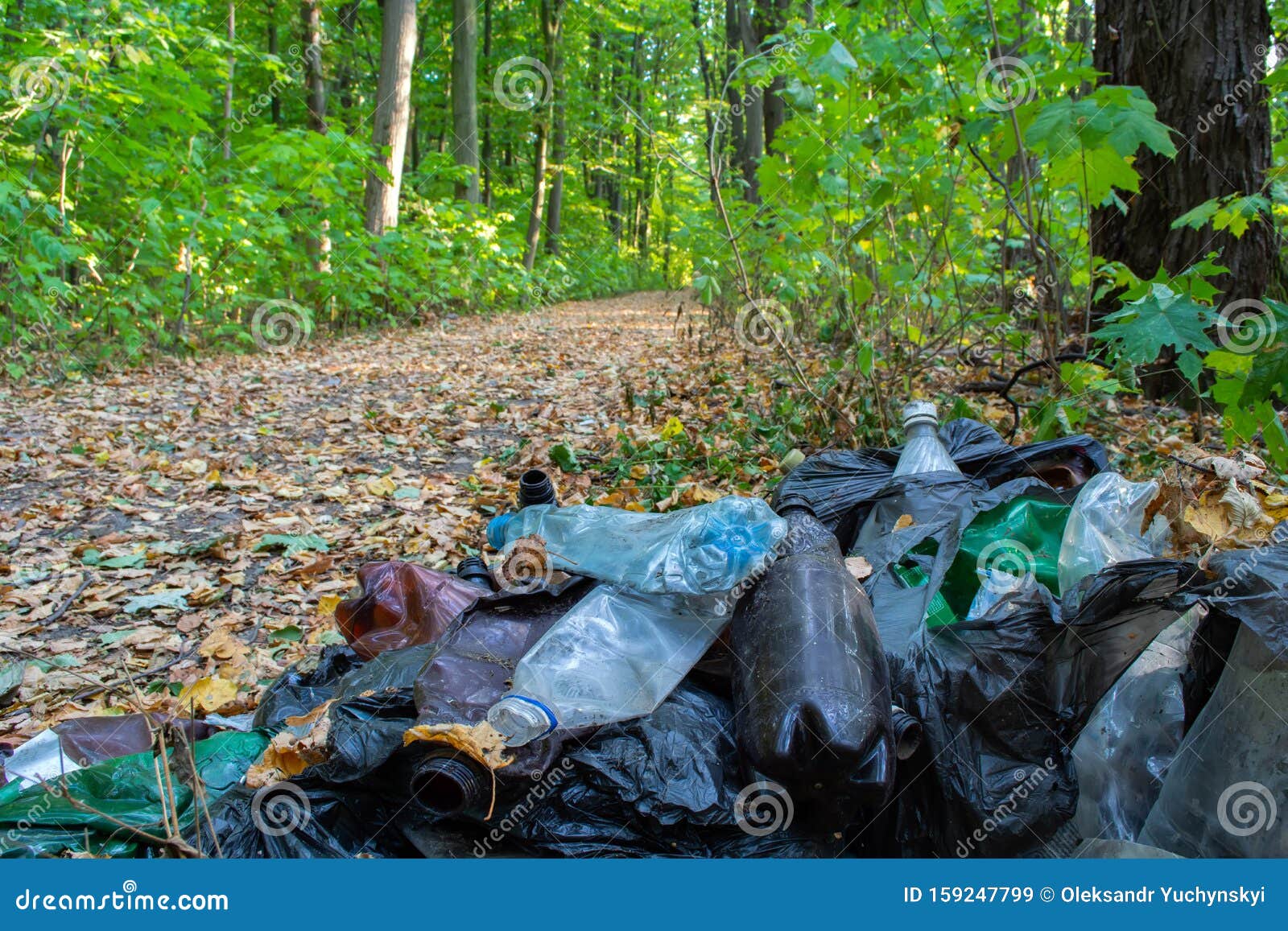 Garbage in the Forest, Consisting of Plastic Bottles and Plastic Bags ...