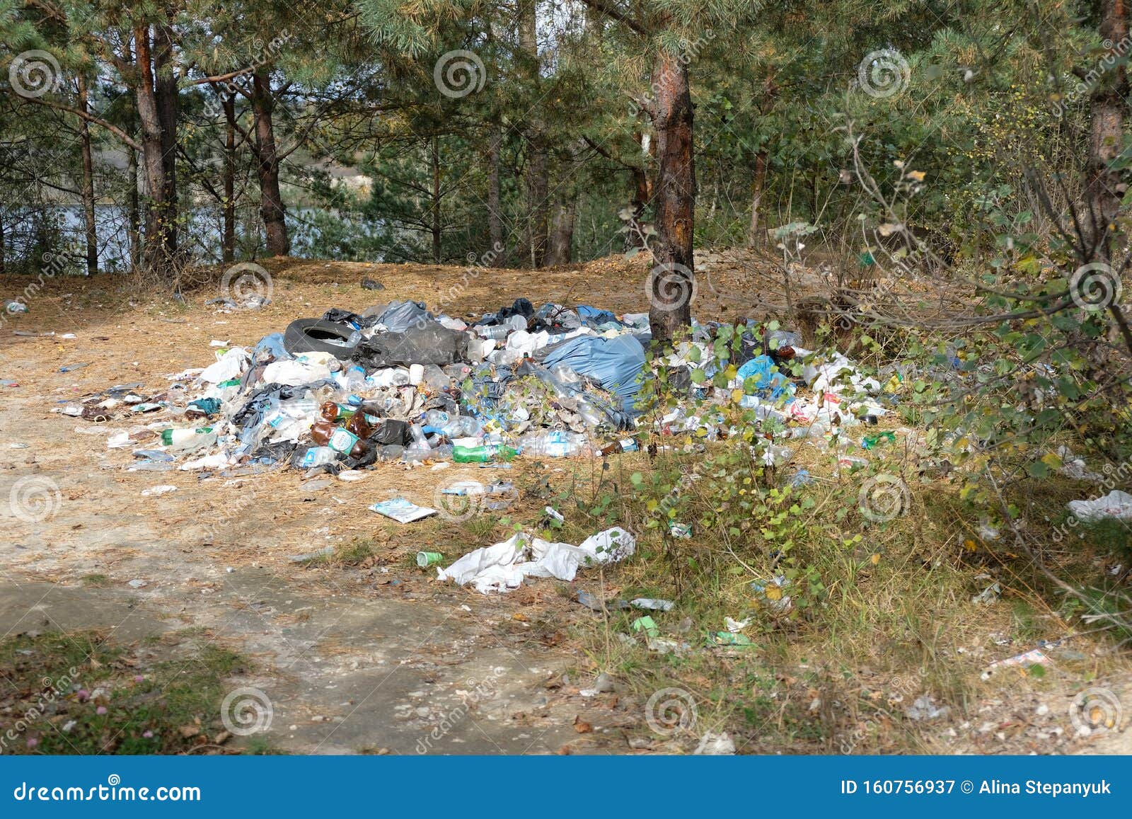 Garbage in the Forest. Environmental Pollution Stock Image - Image of ...