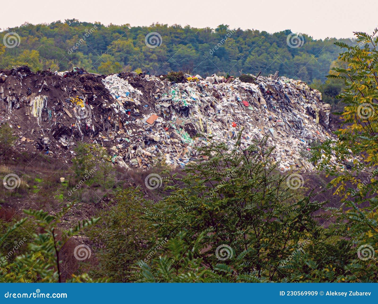 Garbage dump in the forest stock image. Image of industry - 230569909