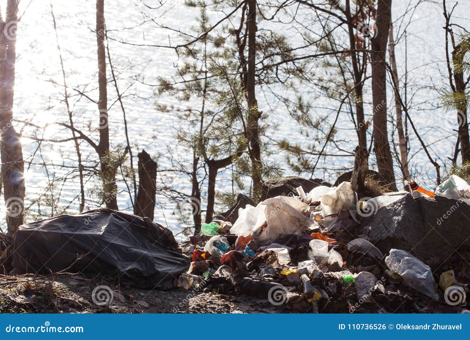 Garbage in the forest stock photo. Image of dump, garbage - 110736526