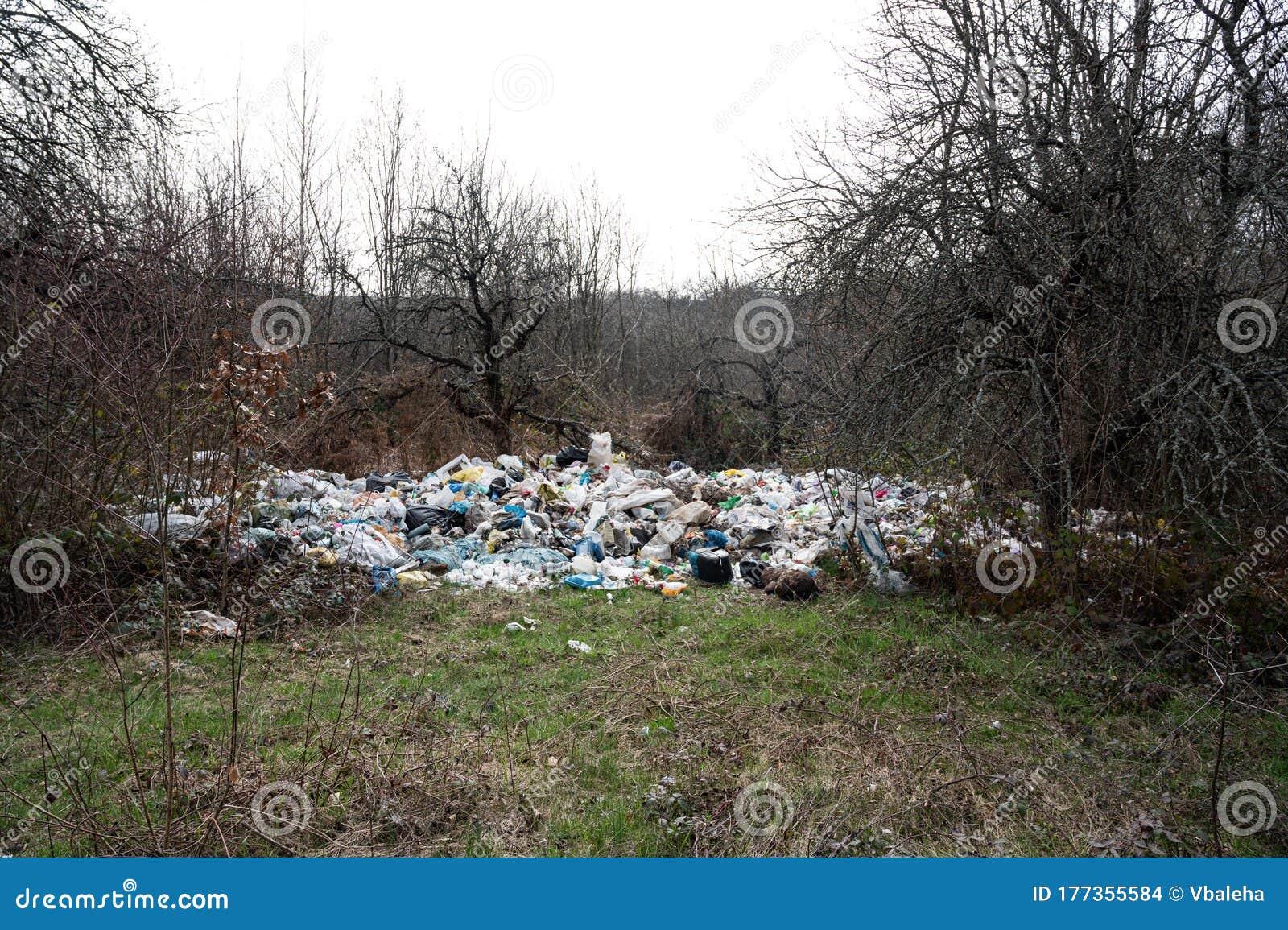 Garbage in the Forest. People Illegally Throwing Garbage into the ...
