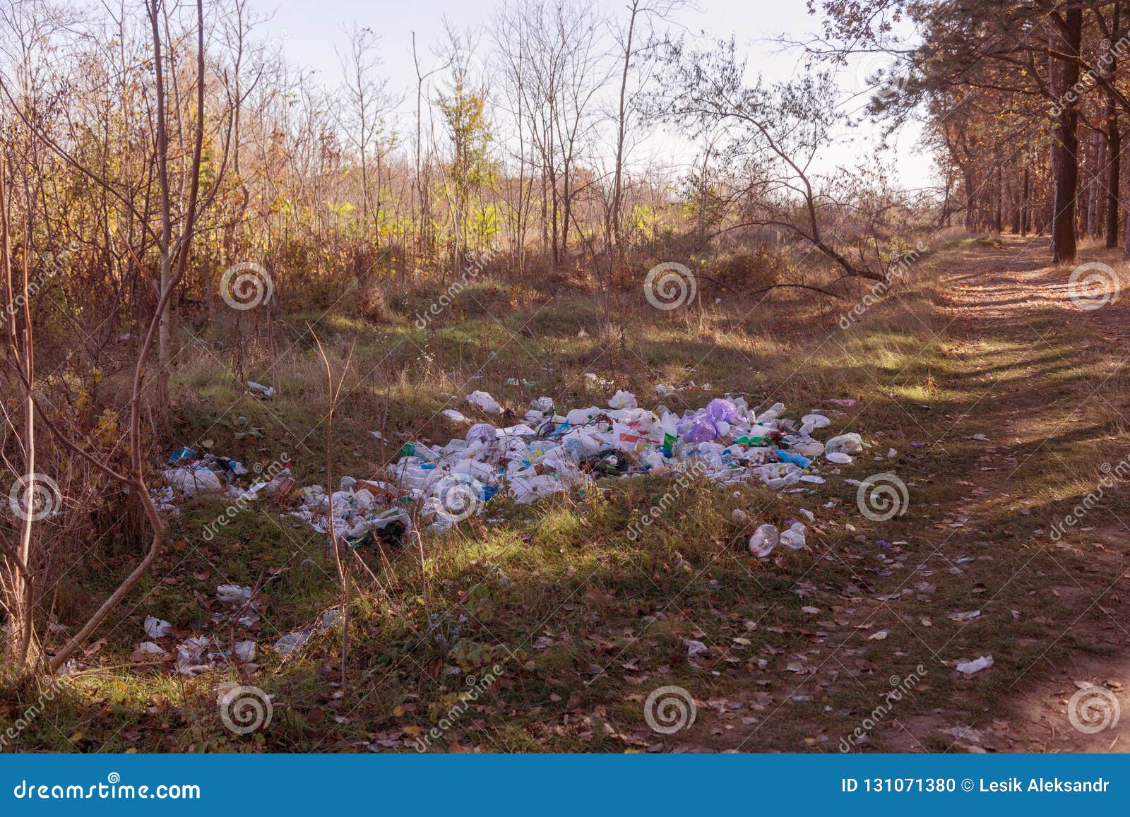 Garbage in Forest. People Illegally Thrown Garbage into Forest Stock ...