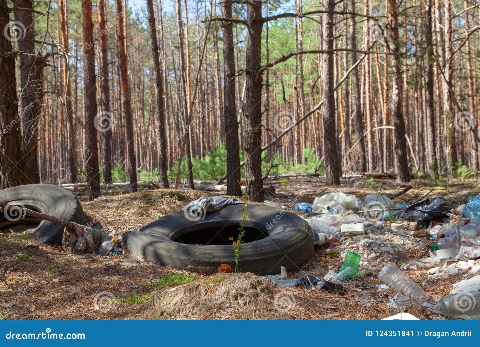 Garbage in the Forest. Pollution of the Forest by Plastic and Slopes ...