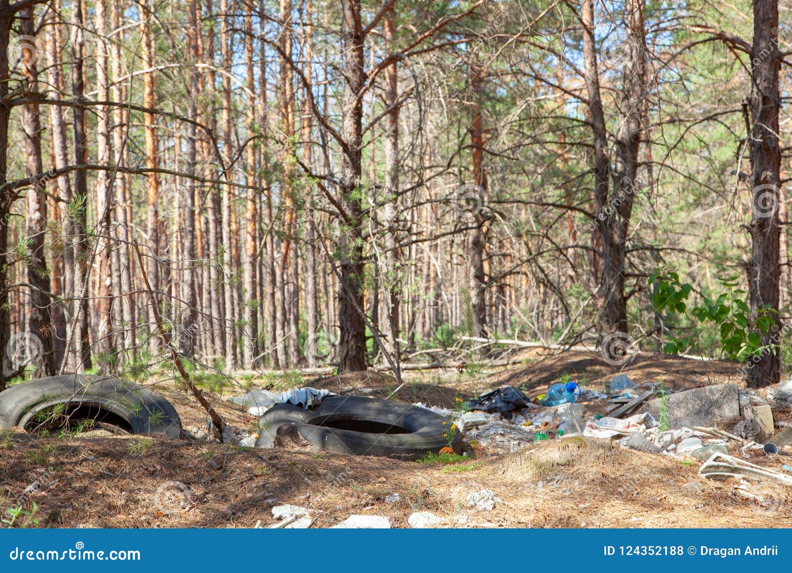 Garbage in the Forest. Pollution of the Forest by Plastic and Slopes ...